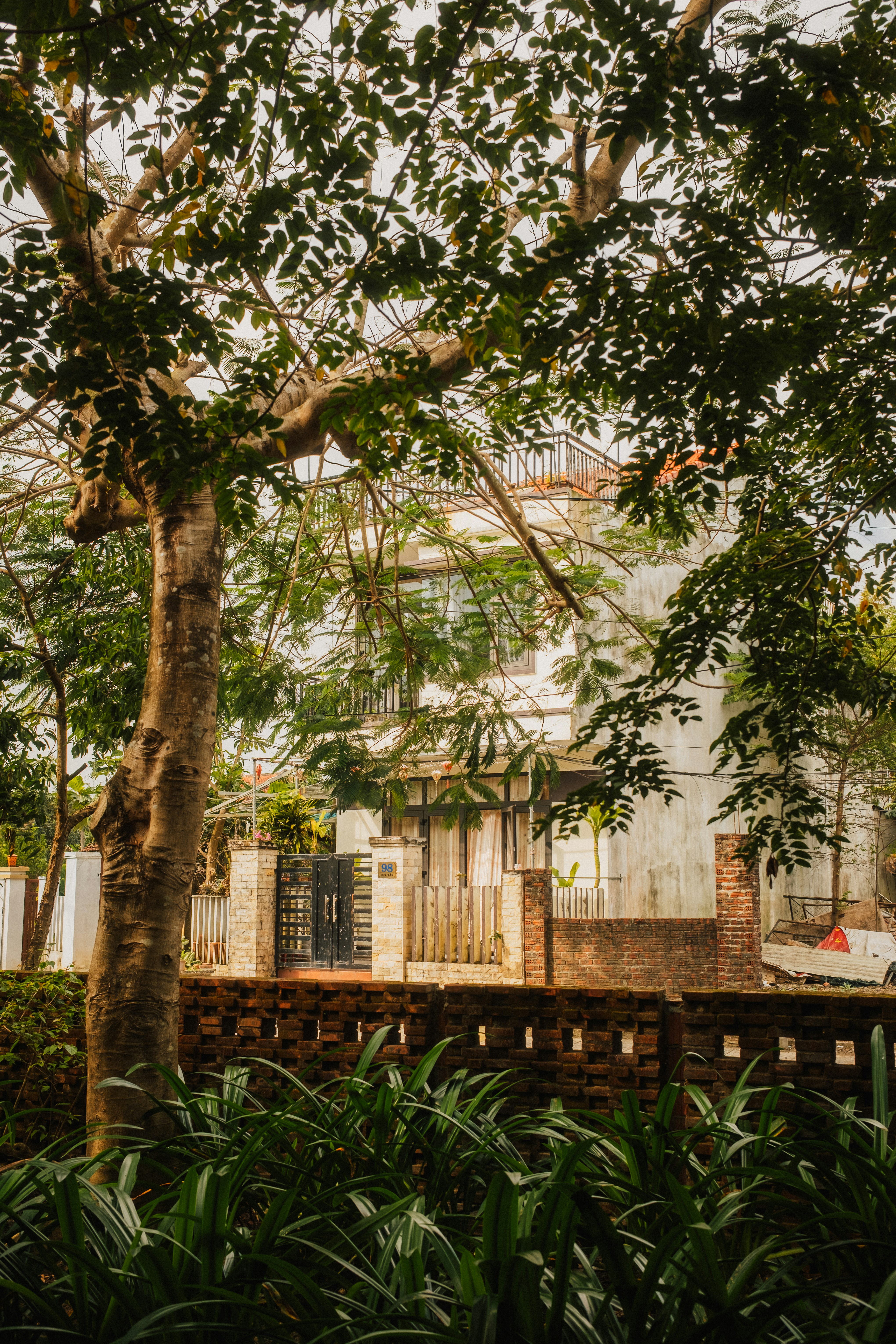 Overgrown Gateway: Quiet Urban Retreat Beyond the Fence
