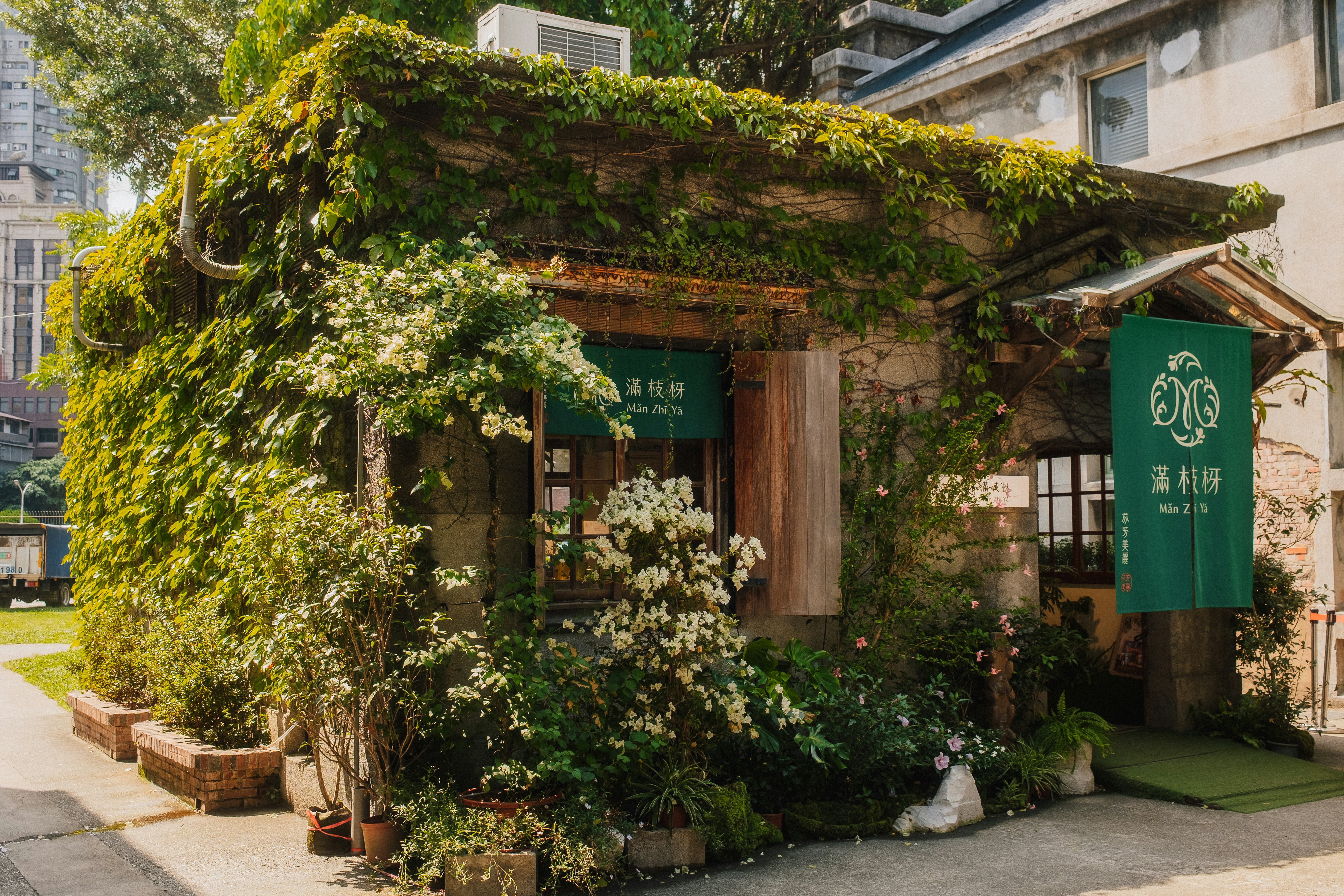 A Green Façade: Ivy-Covered Corner Cafe
