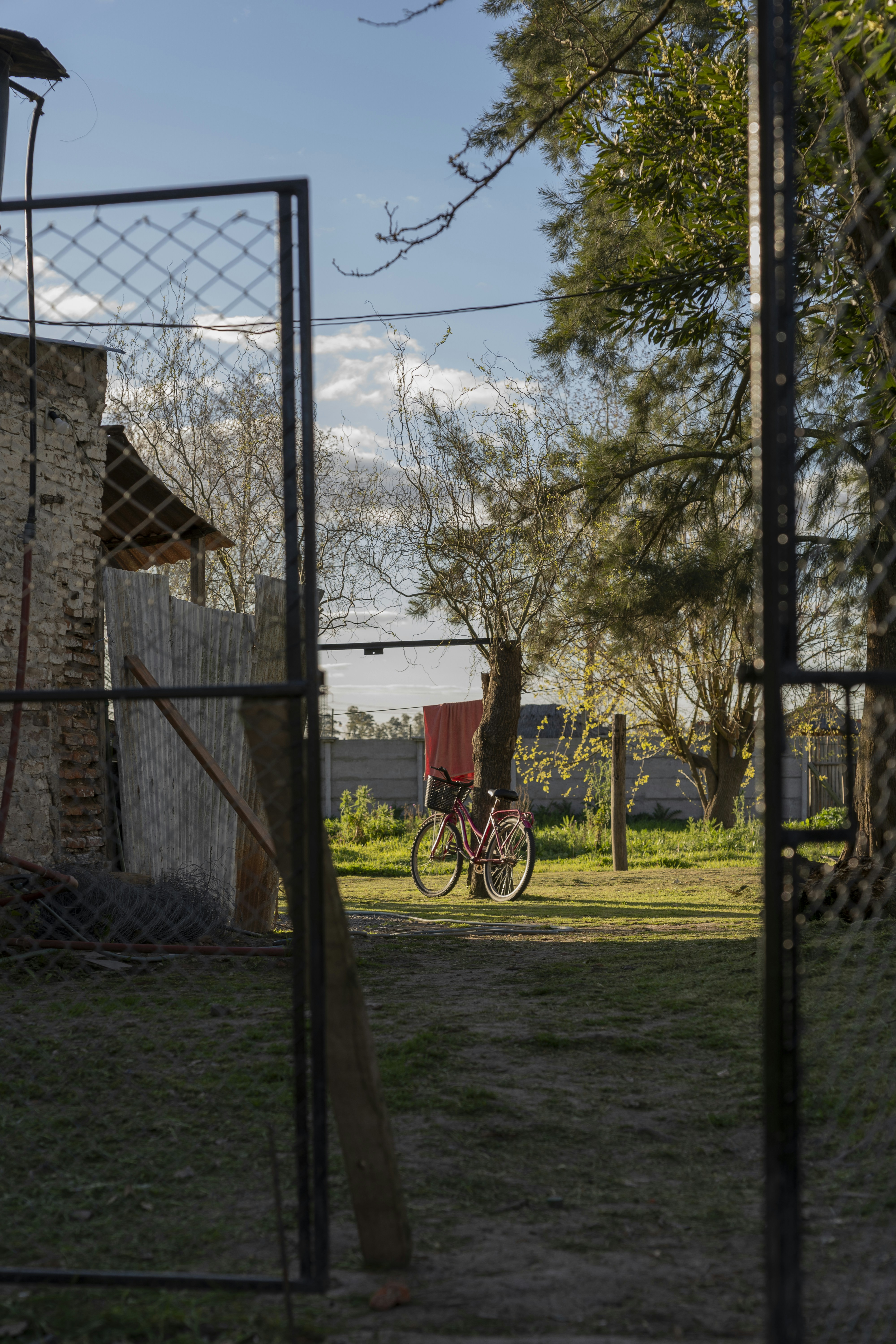 Rusted Gate Frames a Quiet Backyard with a Bike in Soft Afternoon Light