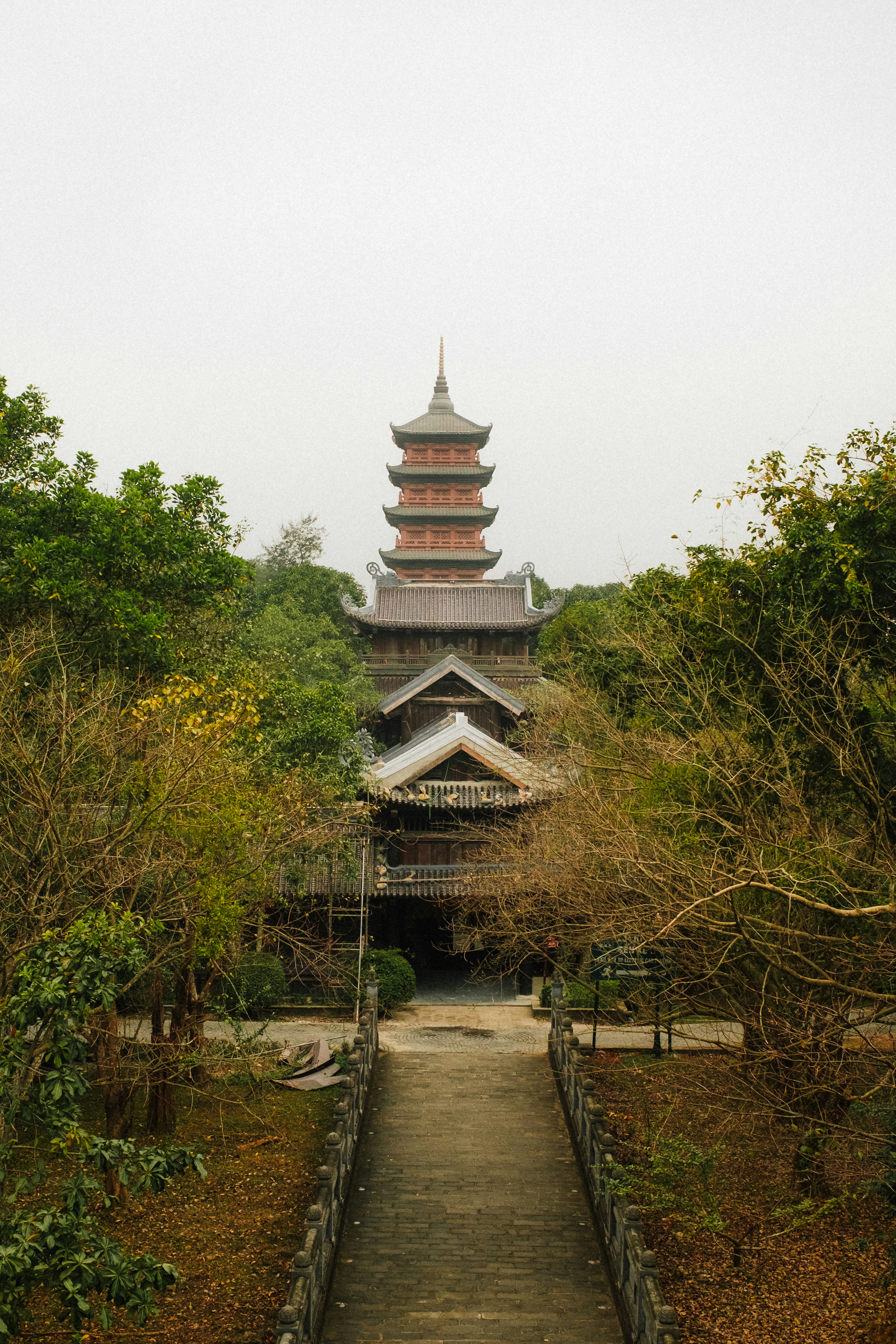 Path to the Pagoda: A Quiet Ascent Through Autumnal Gardens