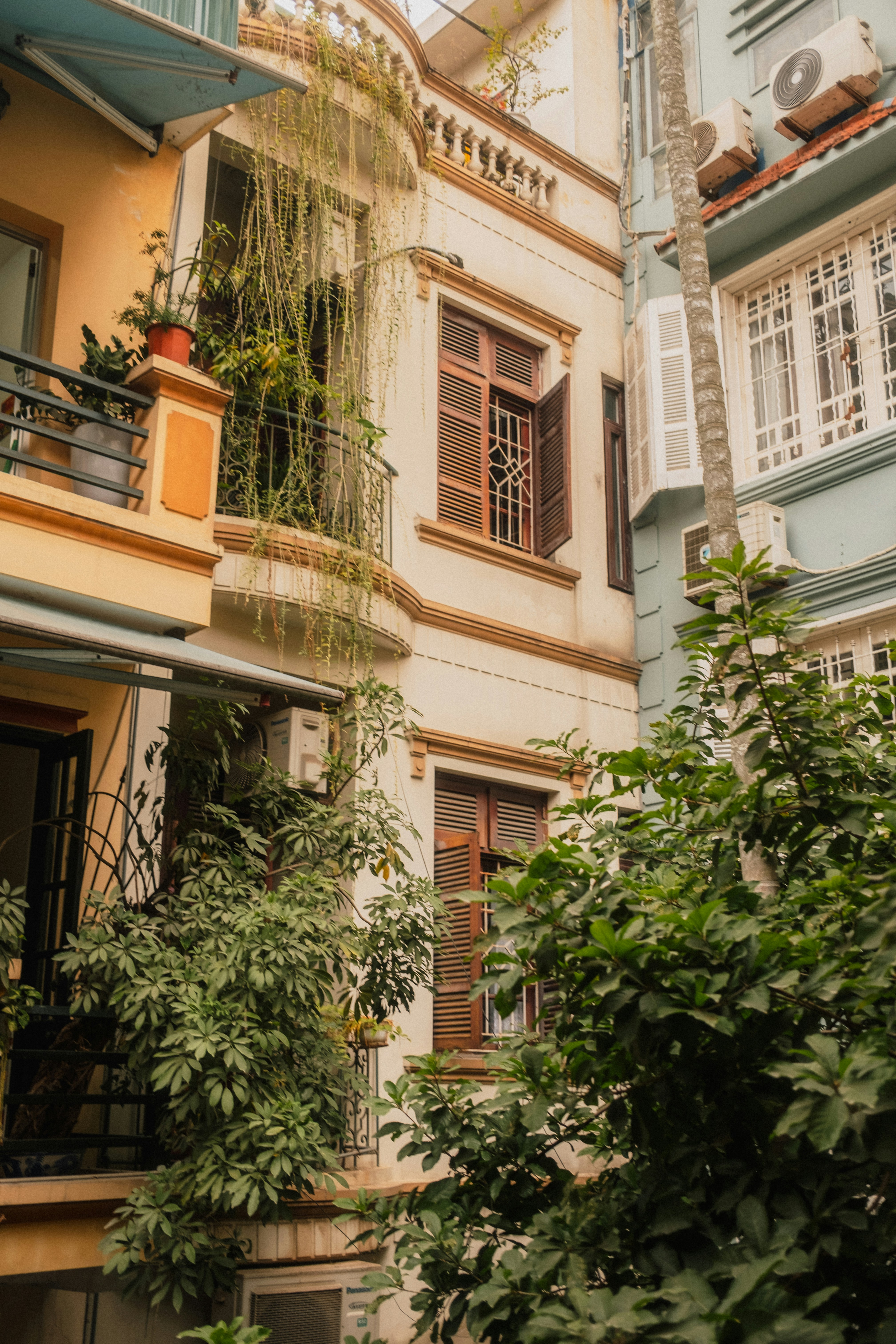 Sunlit Courtyard Facade with Ivy and Balcony