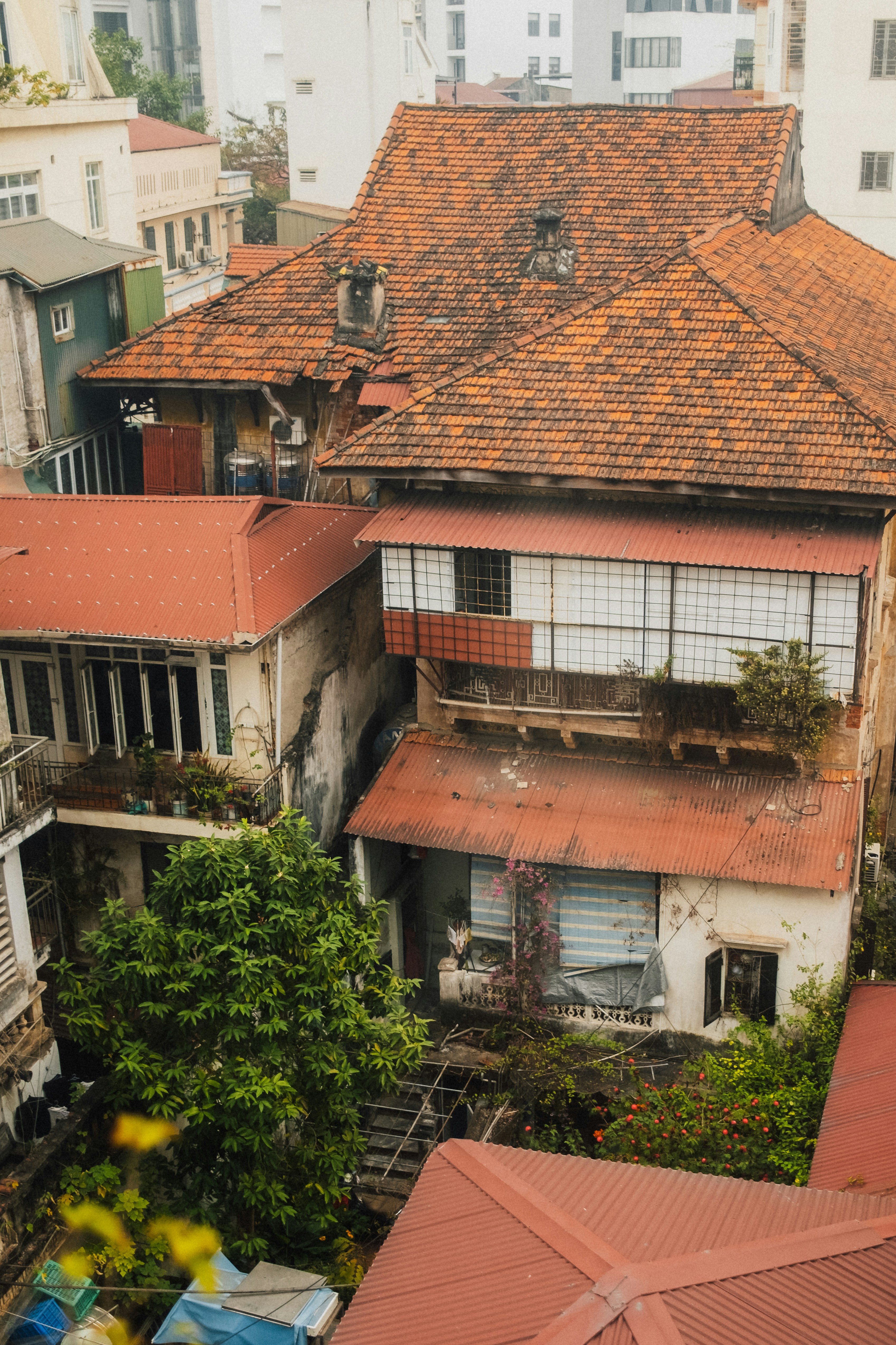 Rooftop Mosaic: A Quiet Alley of Terracotta Tiles