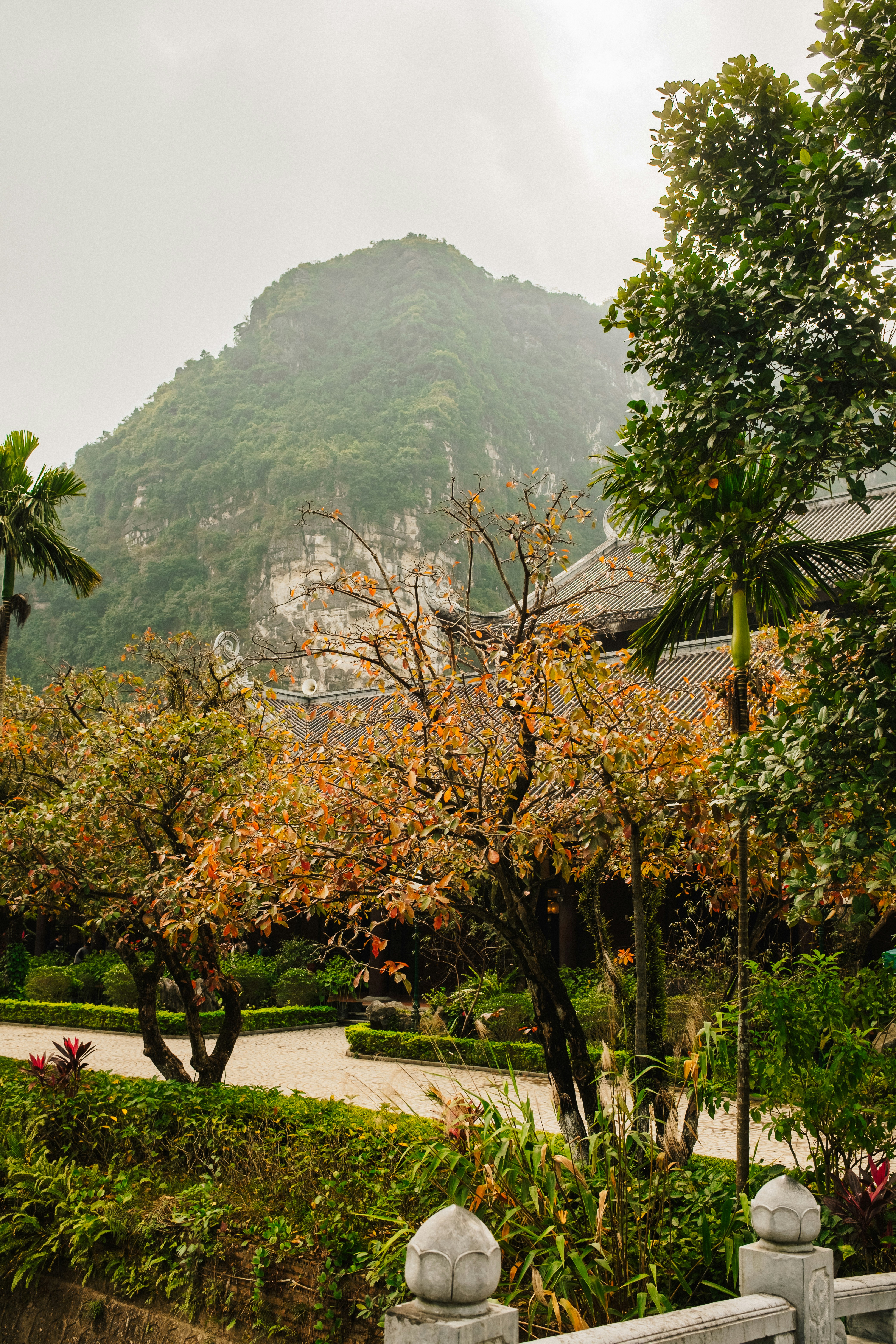 Autumn Courtyard with Misty Mountain Backdrop
