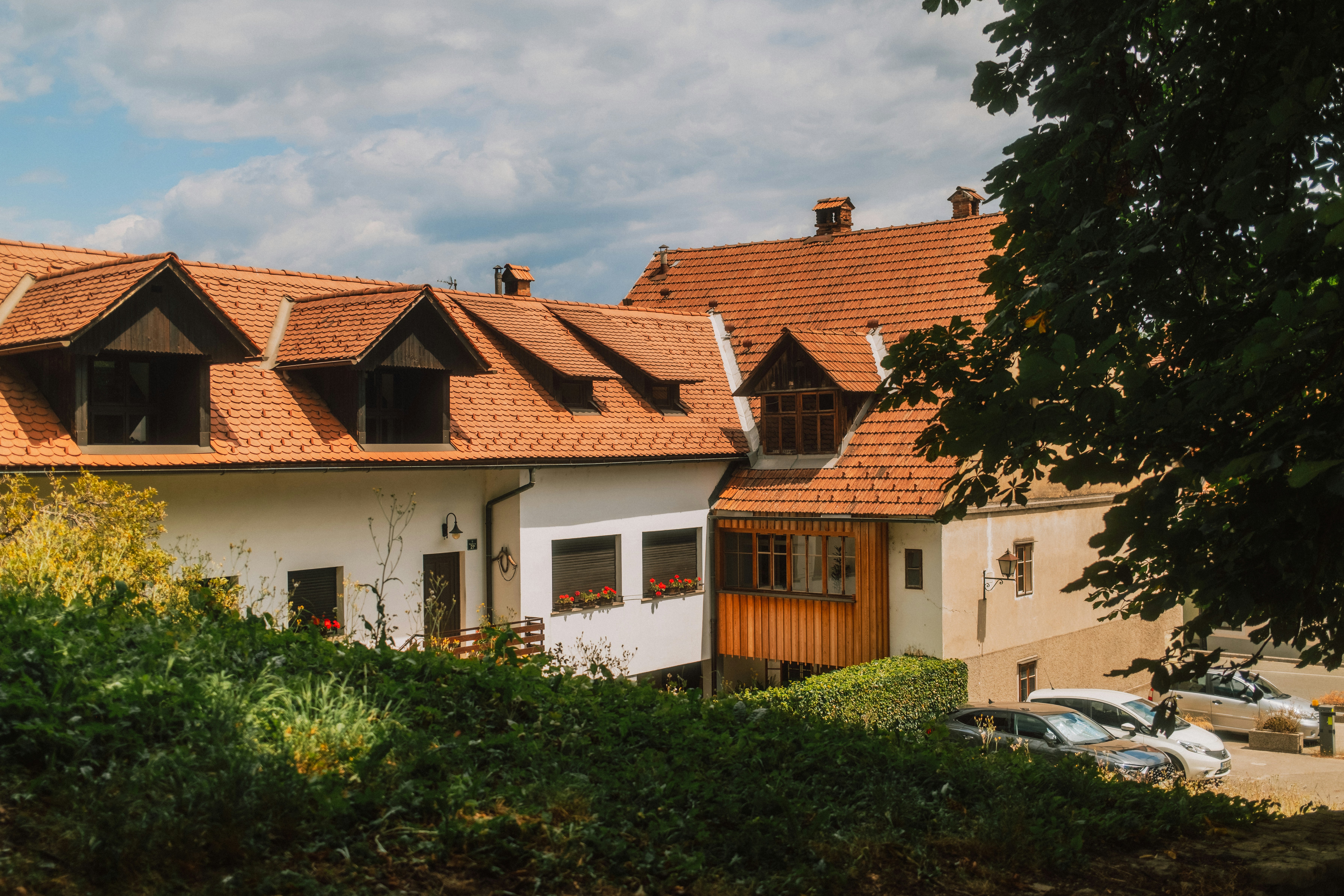 Sunlit Row of Tiled Cottages with Overhanging Eaves