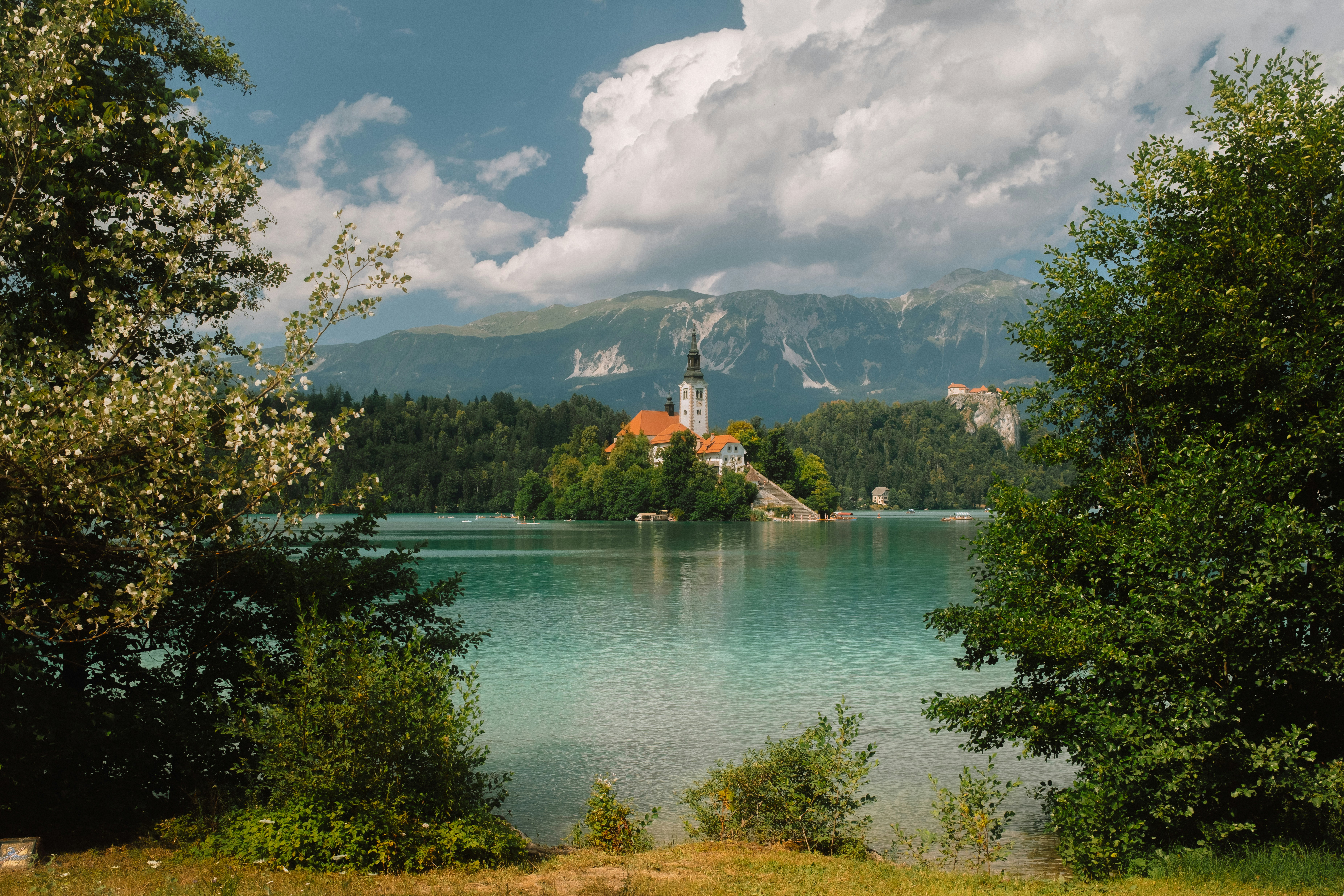 Castle on the Isle: A Verdant Lake with a Towering Promontory