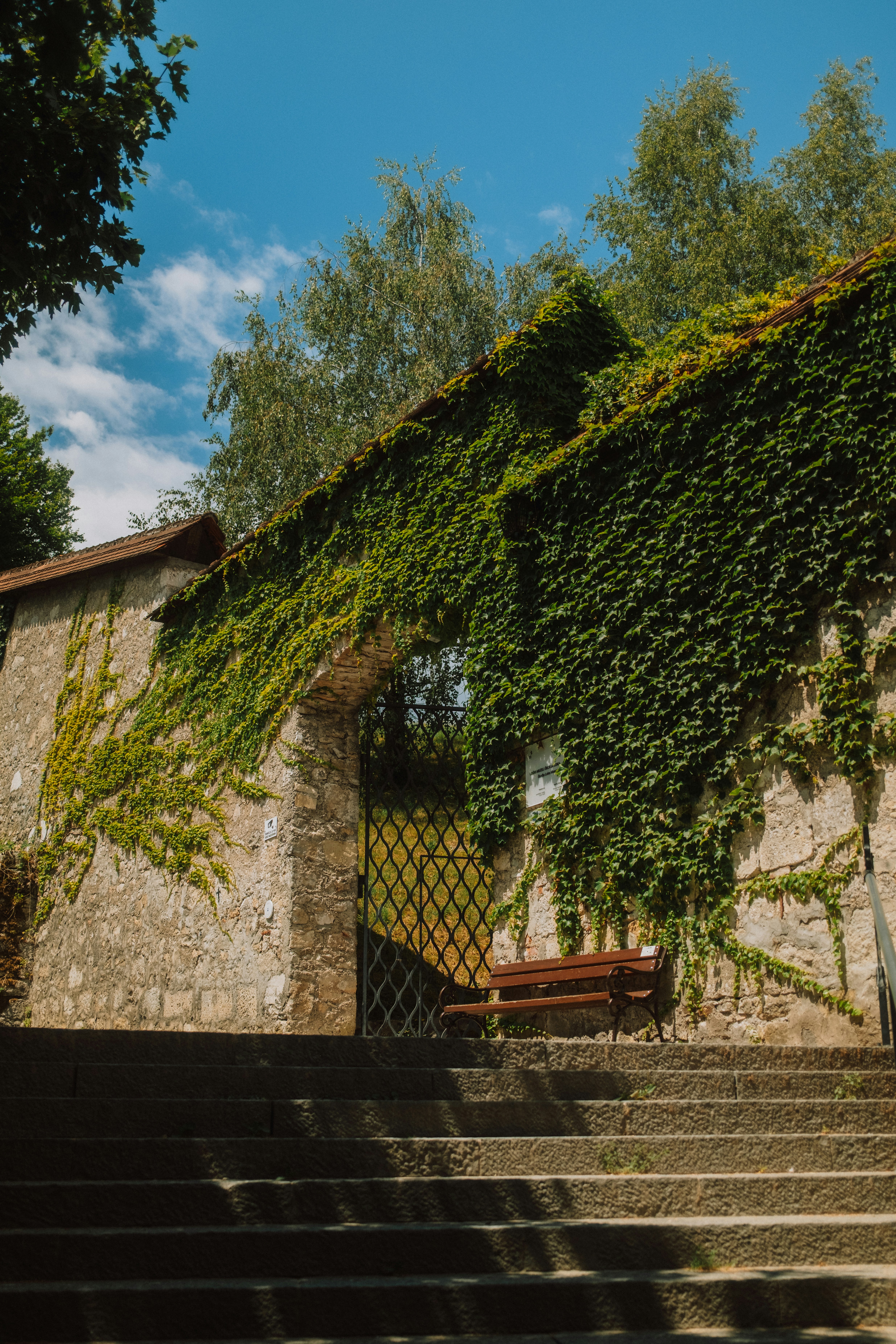Ivy-Covered Archway: Quiet Gate Under Blue Sky