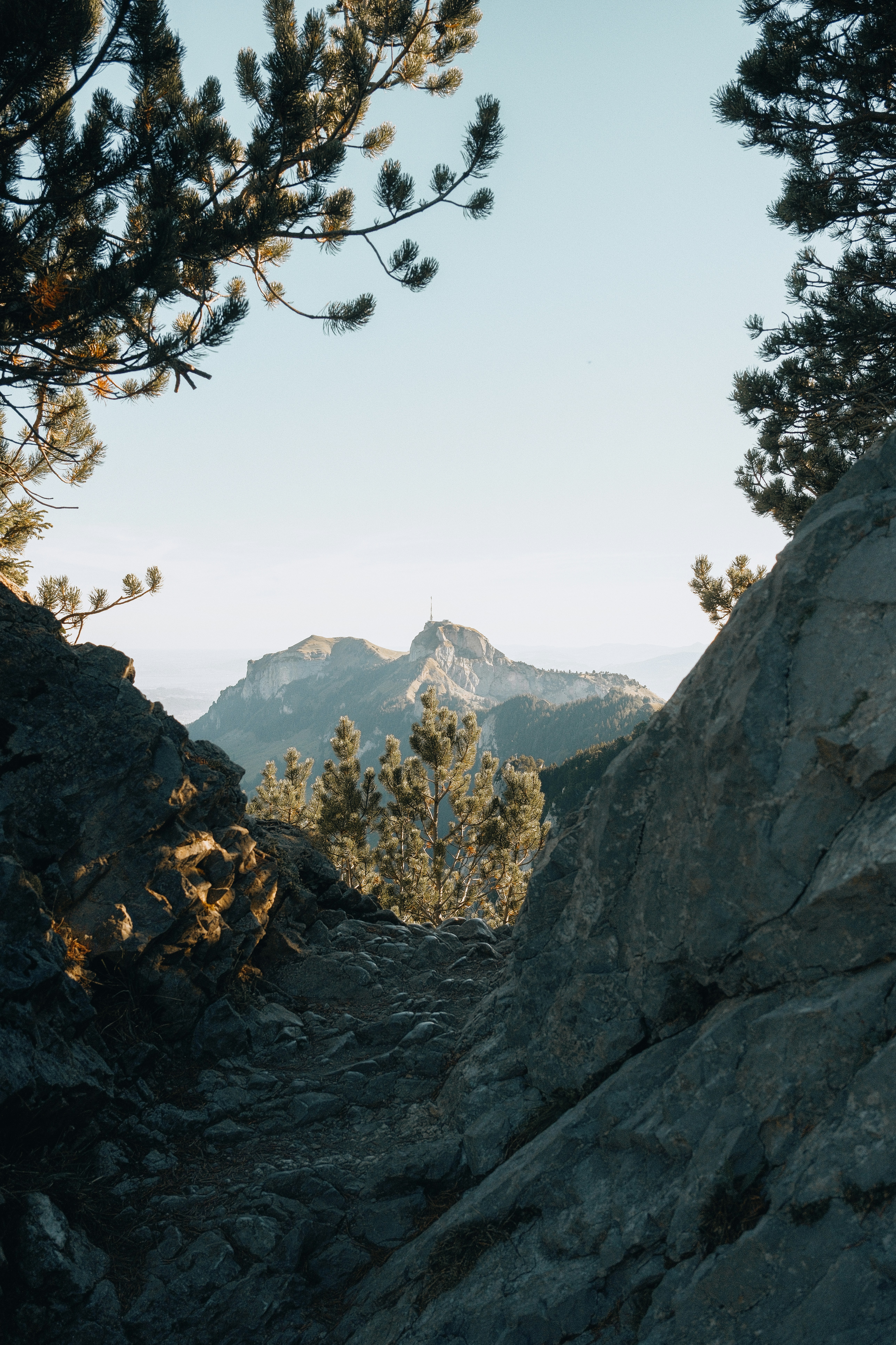 Ridgecrest Summit: Dawn Over Craggy Pines
