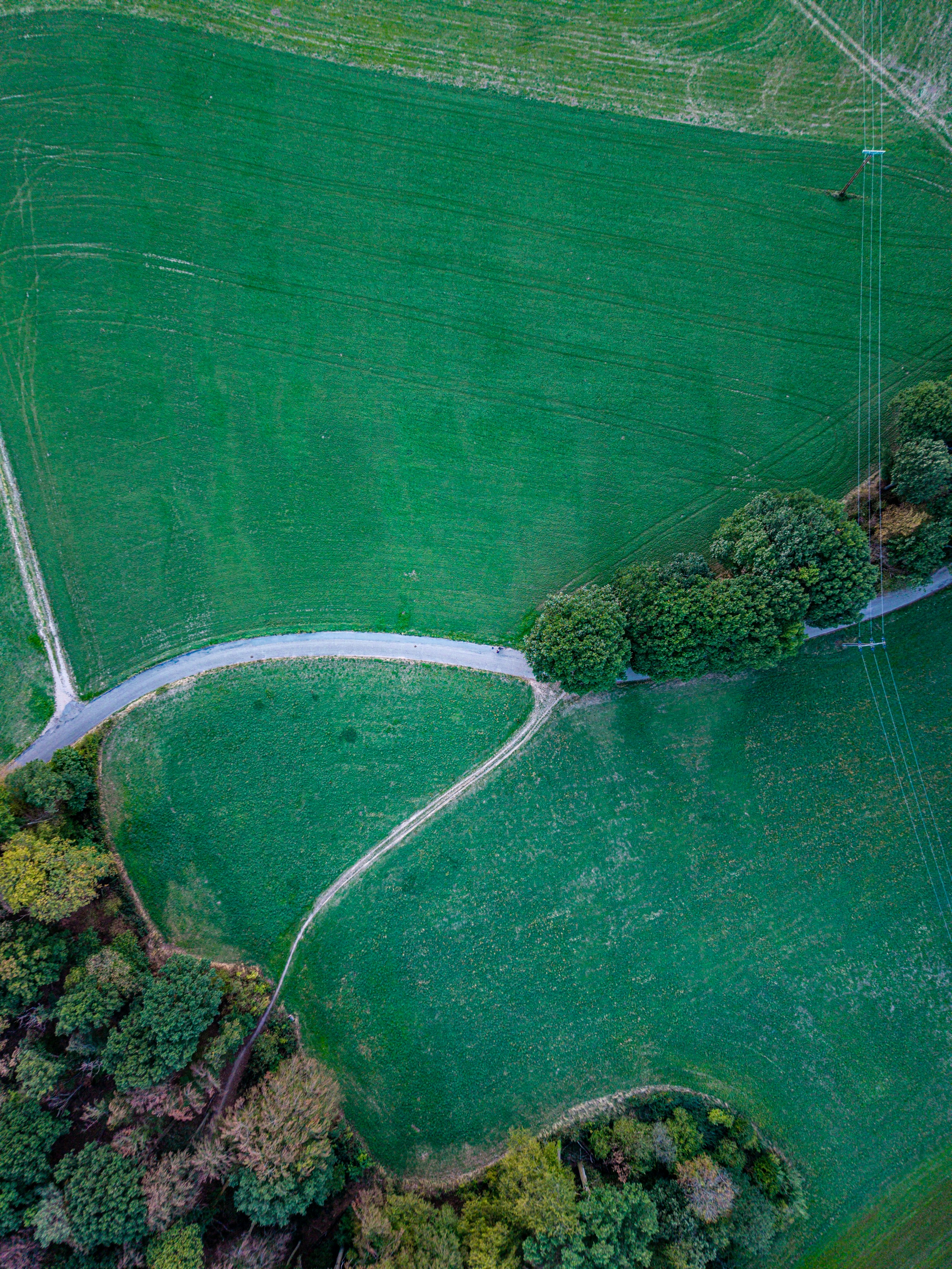 Verdant Field Networks from Above: A Quiet Rural Intersection