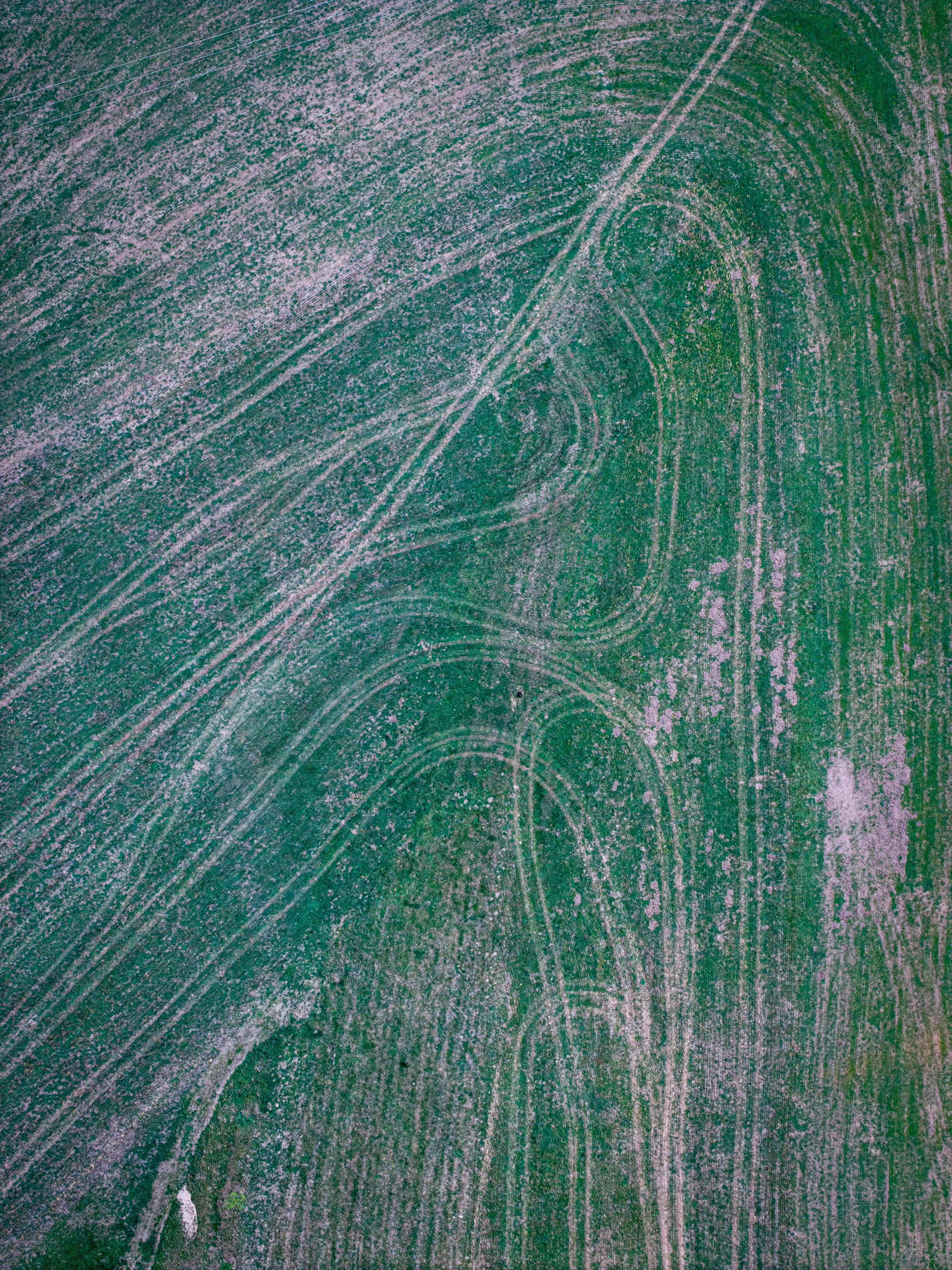 Striated Green: Abstract Trails Across Frozen Texture