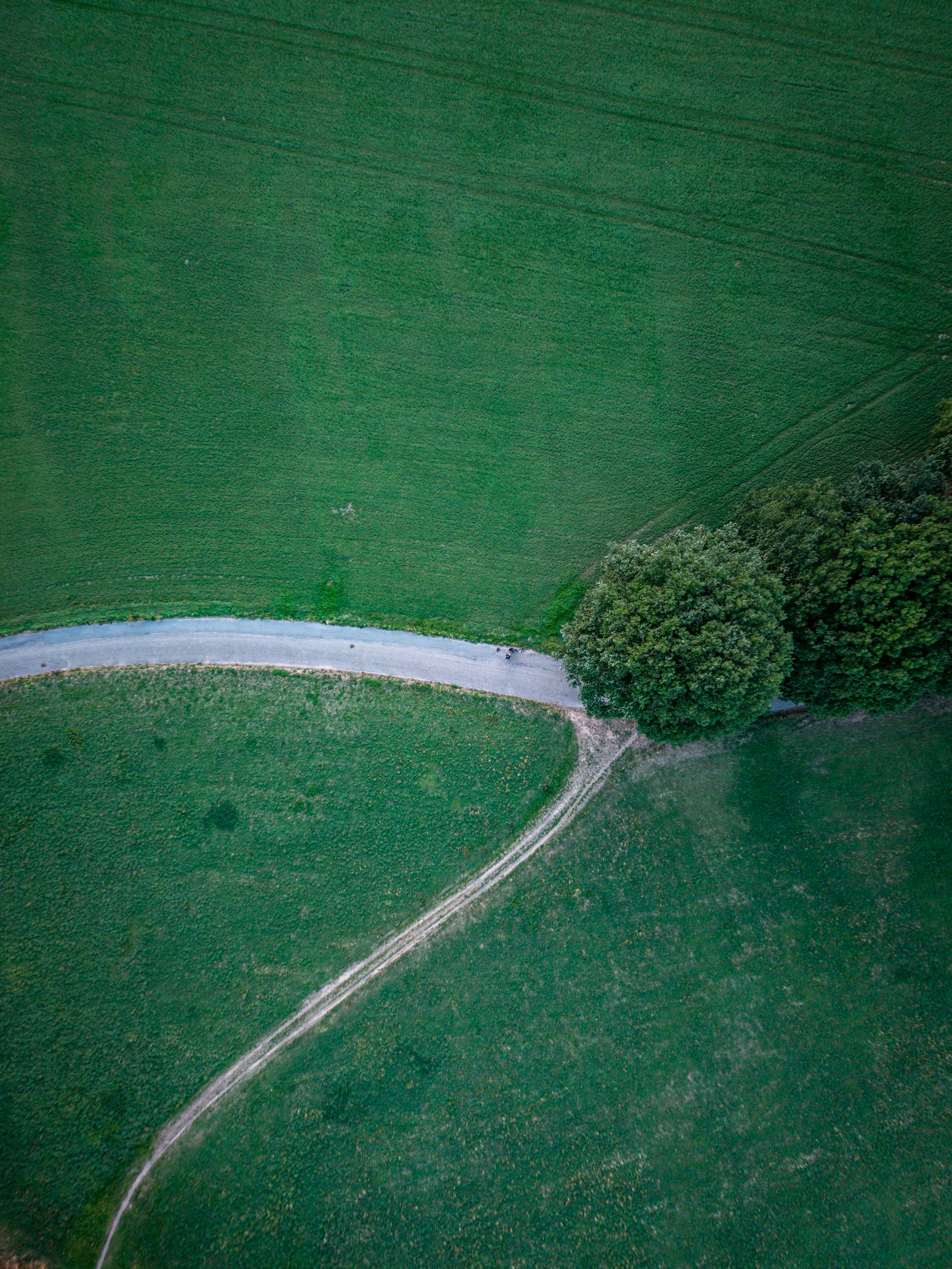 Aerial Crossroads: Green Fields Meet a Curved Road