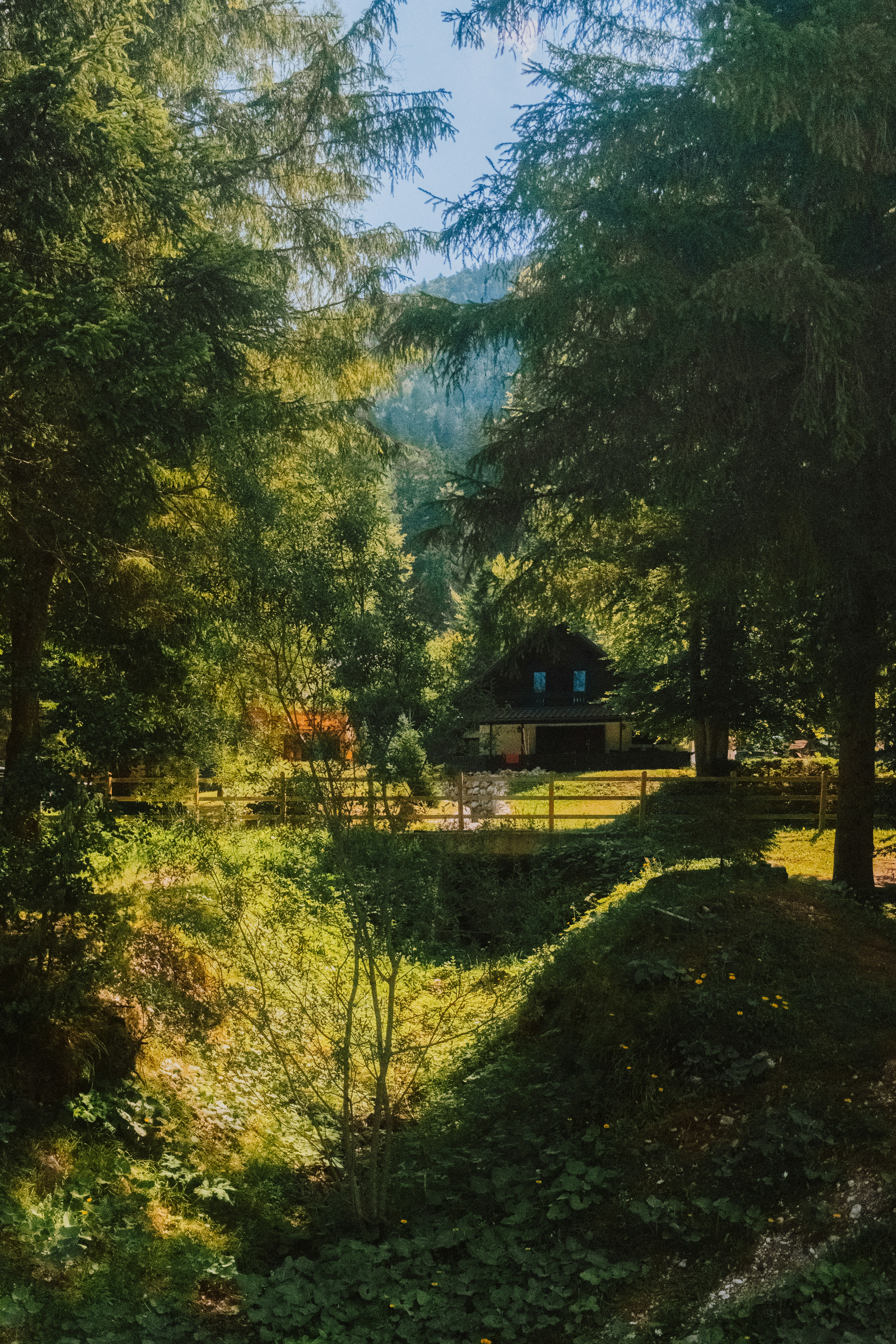 Sunlit Cabin Amid Forest Glow