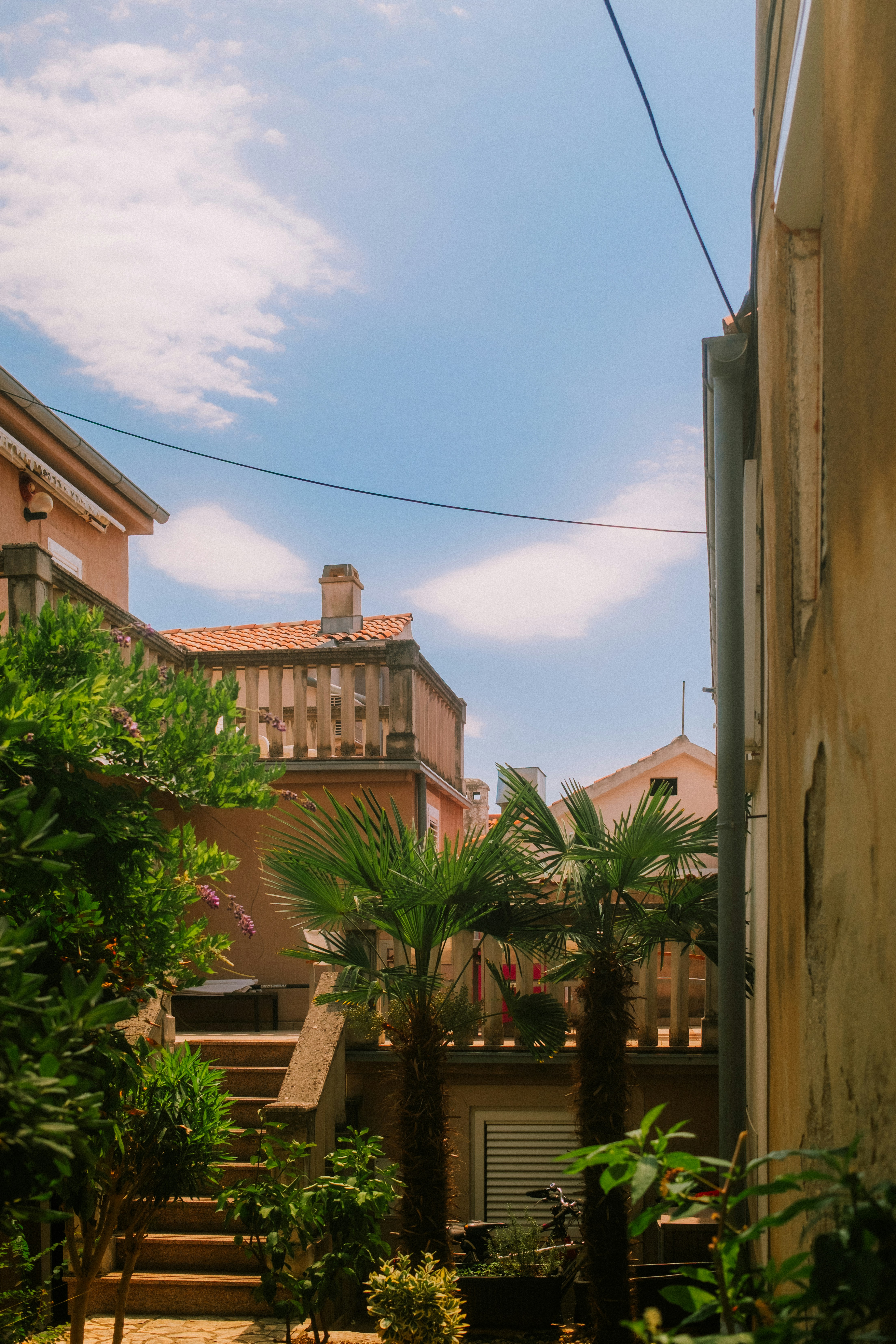 Sunlit Courtyard: Palm Shadows and Warm Terracotta