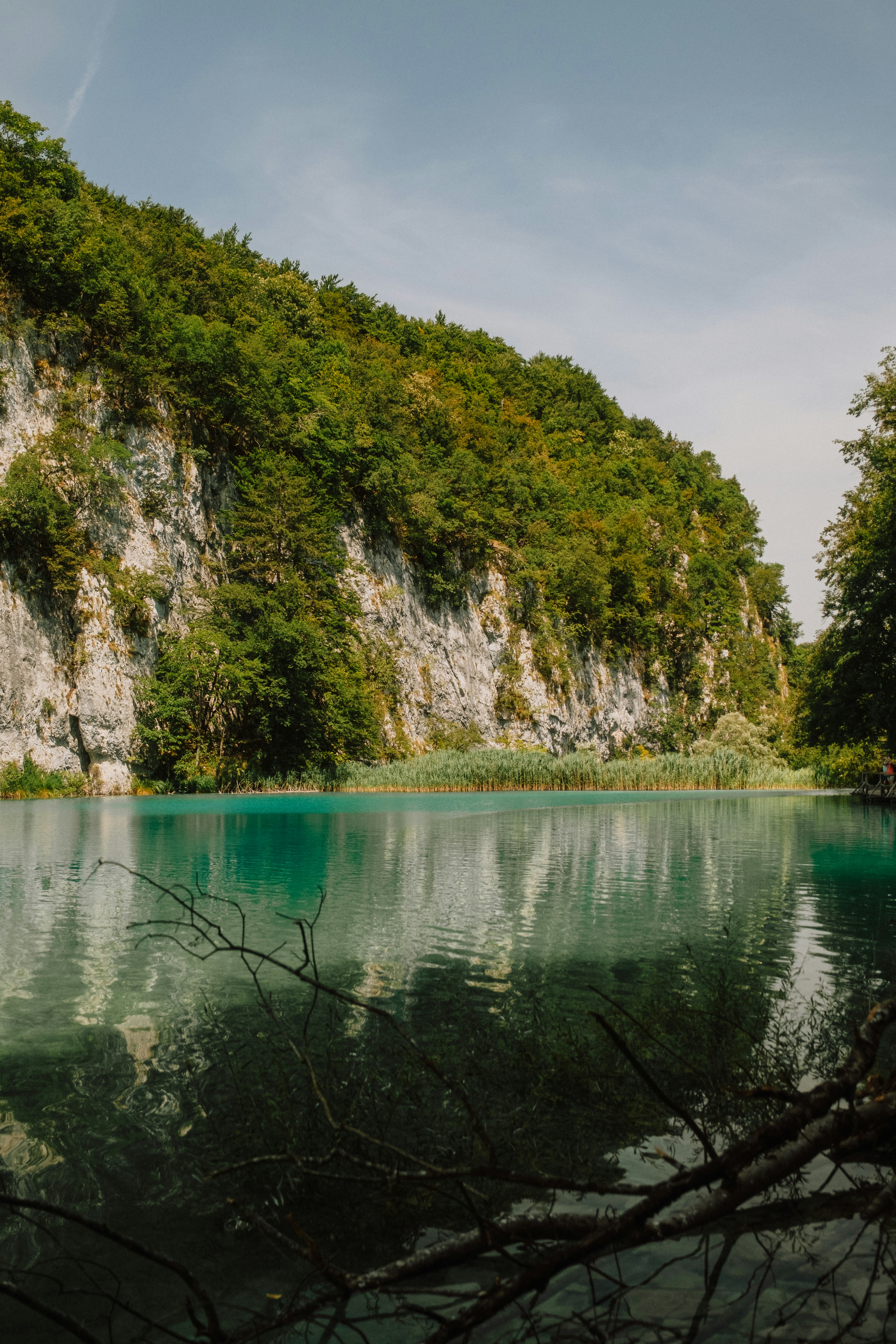 Emerald Lake Reflections Along the Cliffside