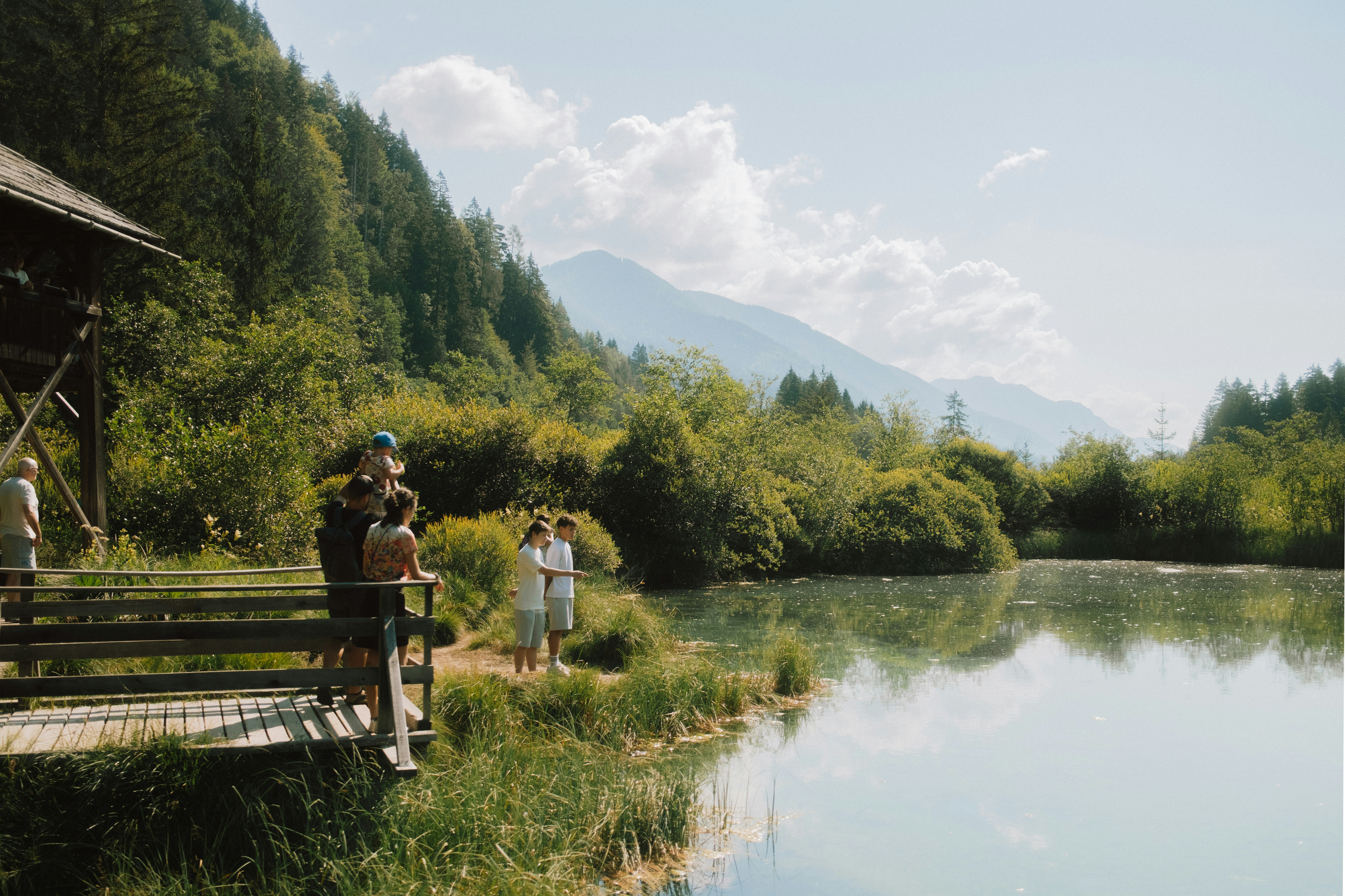 A Quiet Riverside Gathering Beneath Alpine Pines