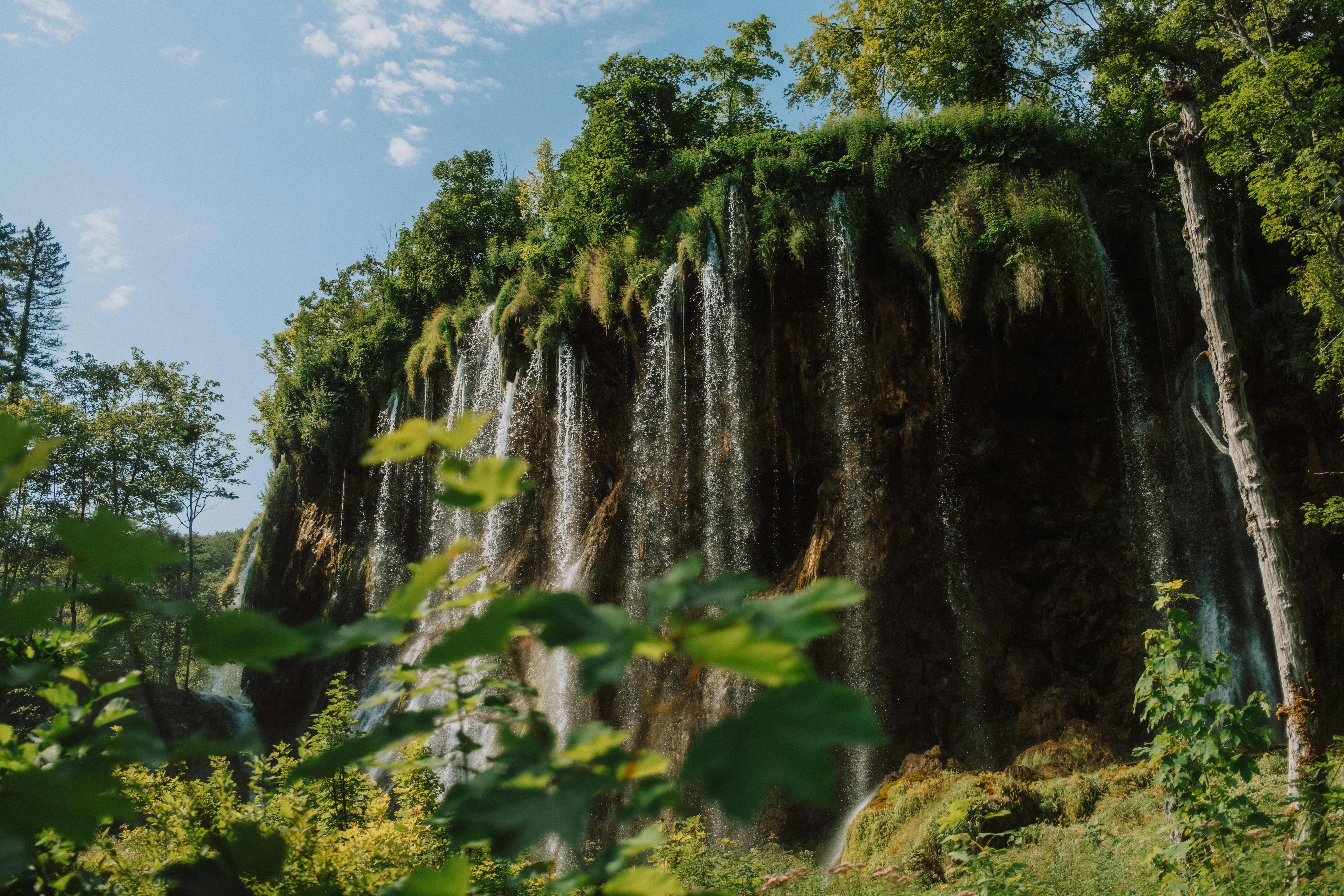 Verdant Curtain: Waterfall Edge Overhung by Forest
