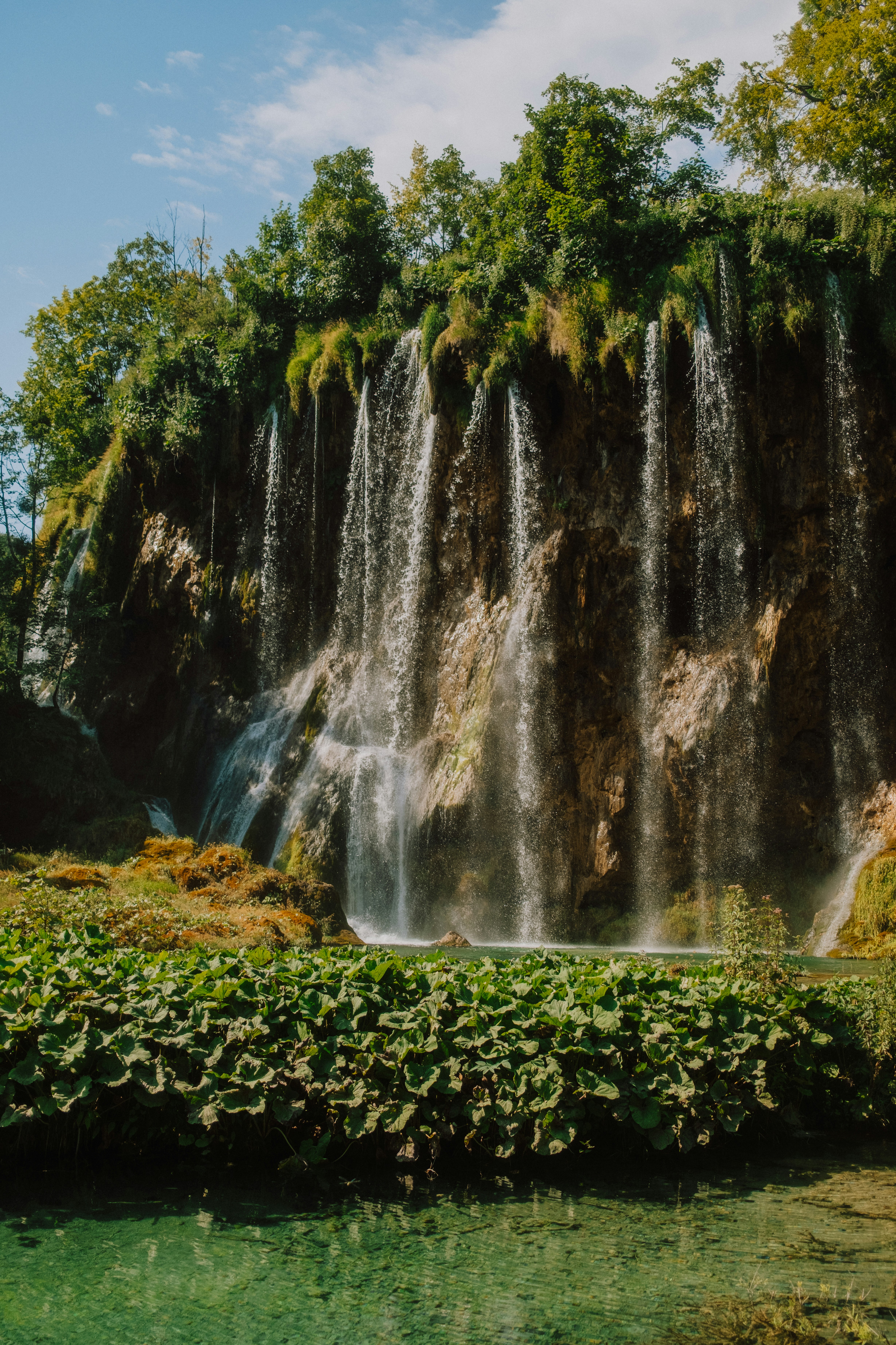 Veil of Green Cascades: Falls Over a Verdant Cliff