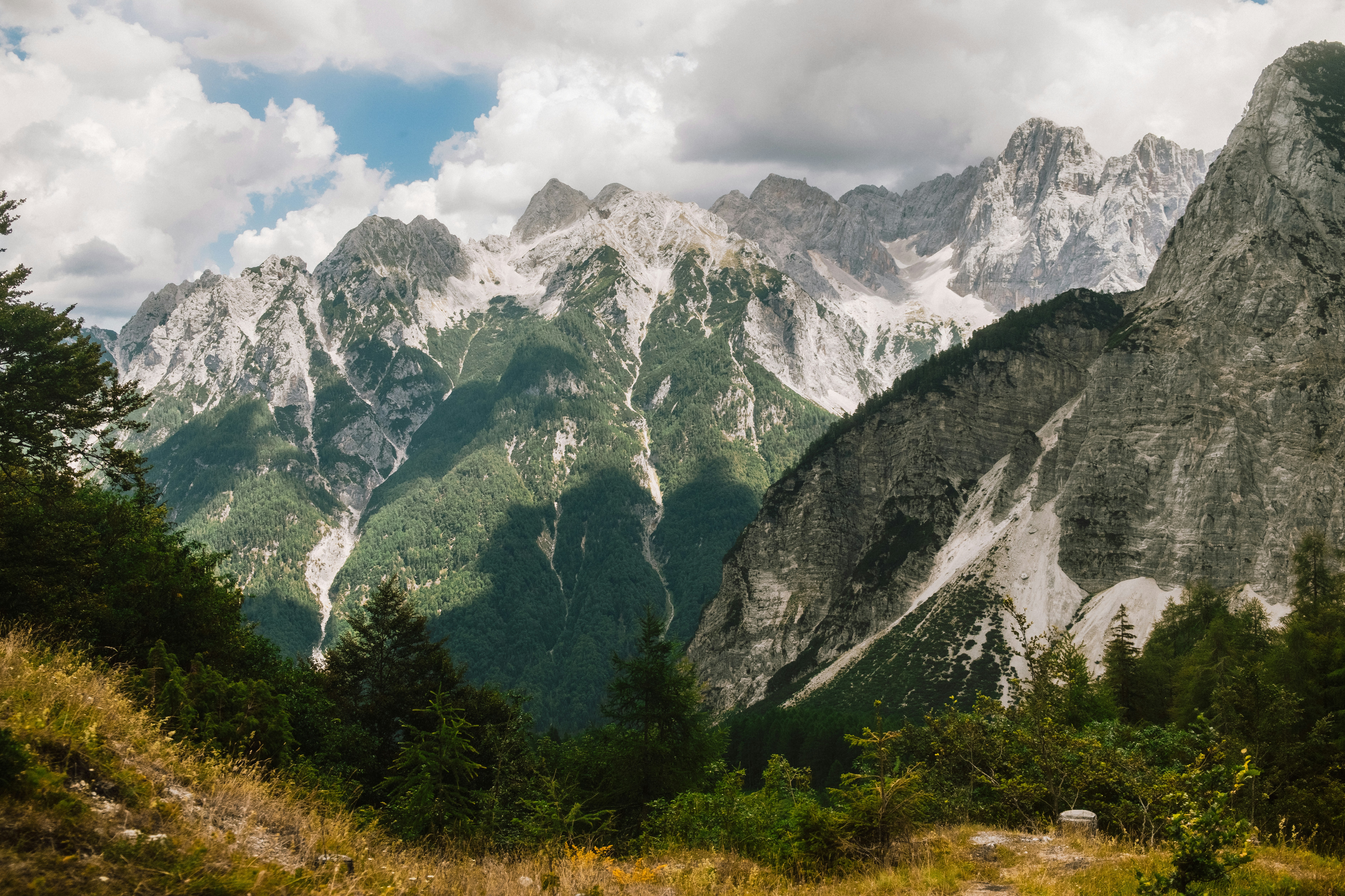 Guardians of the Dolomites: Forested Foreground Meets Rugged Alpine Ridge