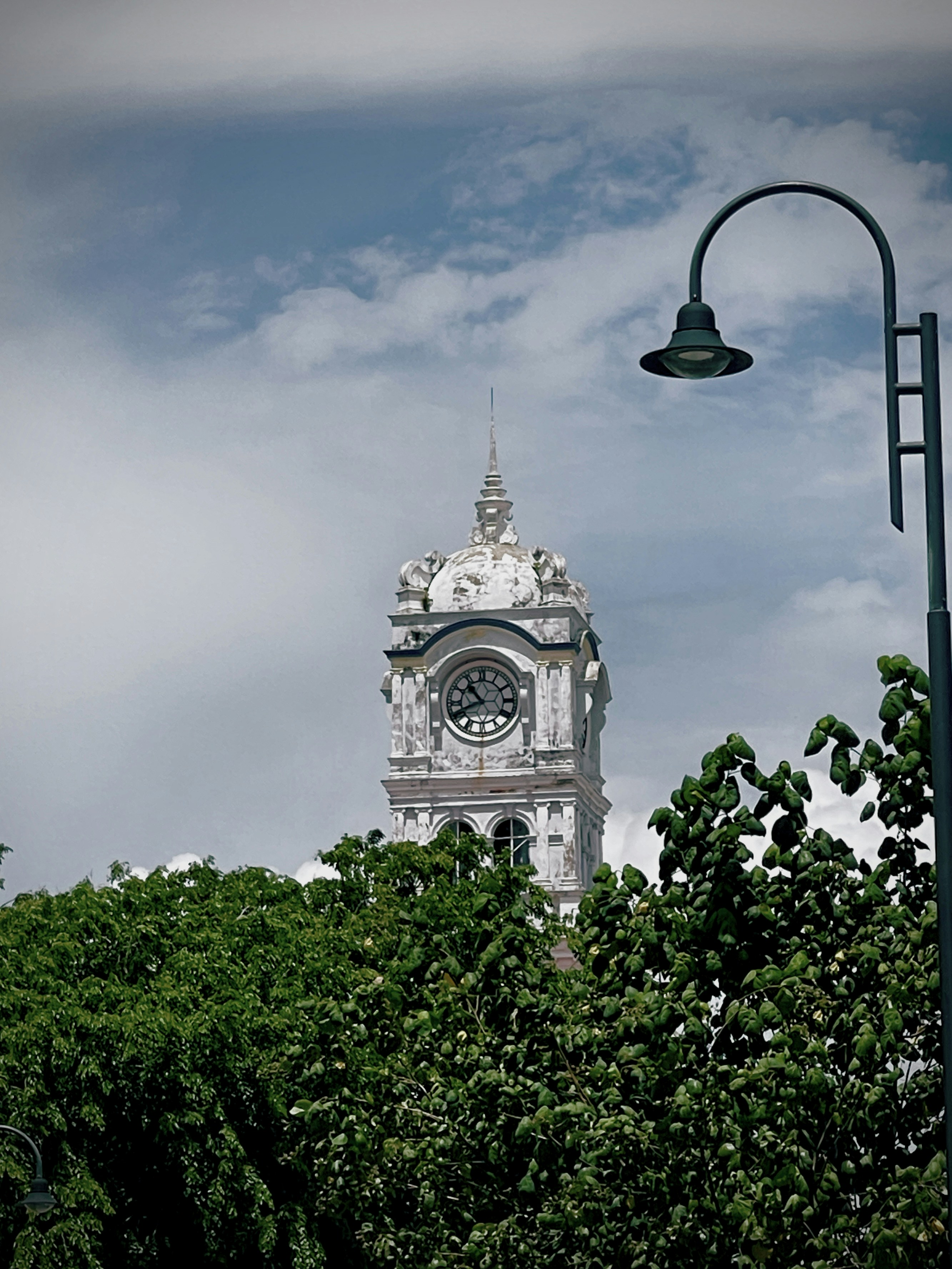 Timekeeper Above the Green Canopy
