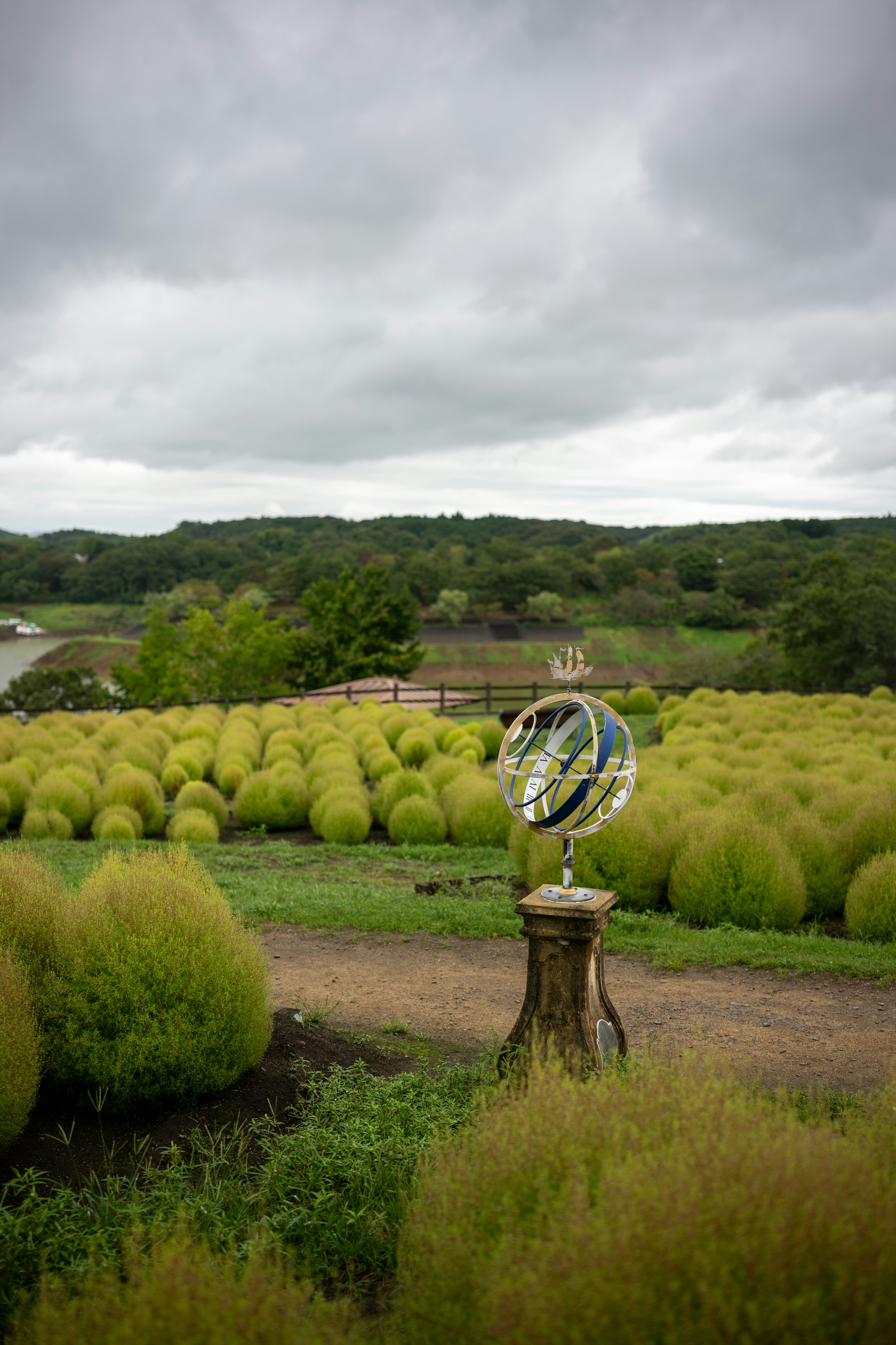Orbital Globe in a Field of Topiary