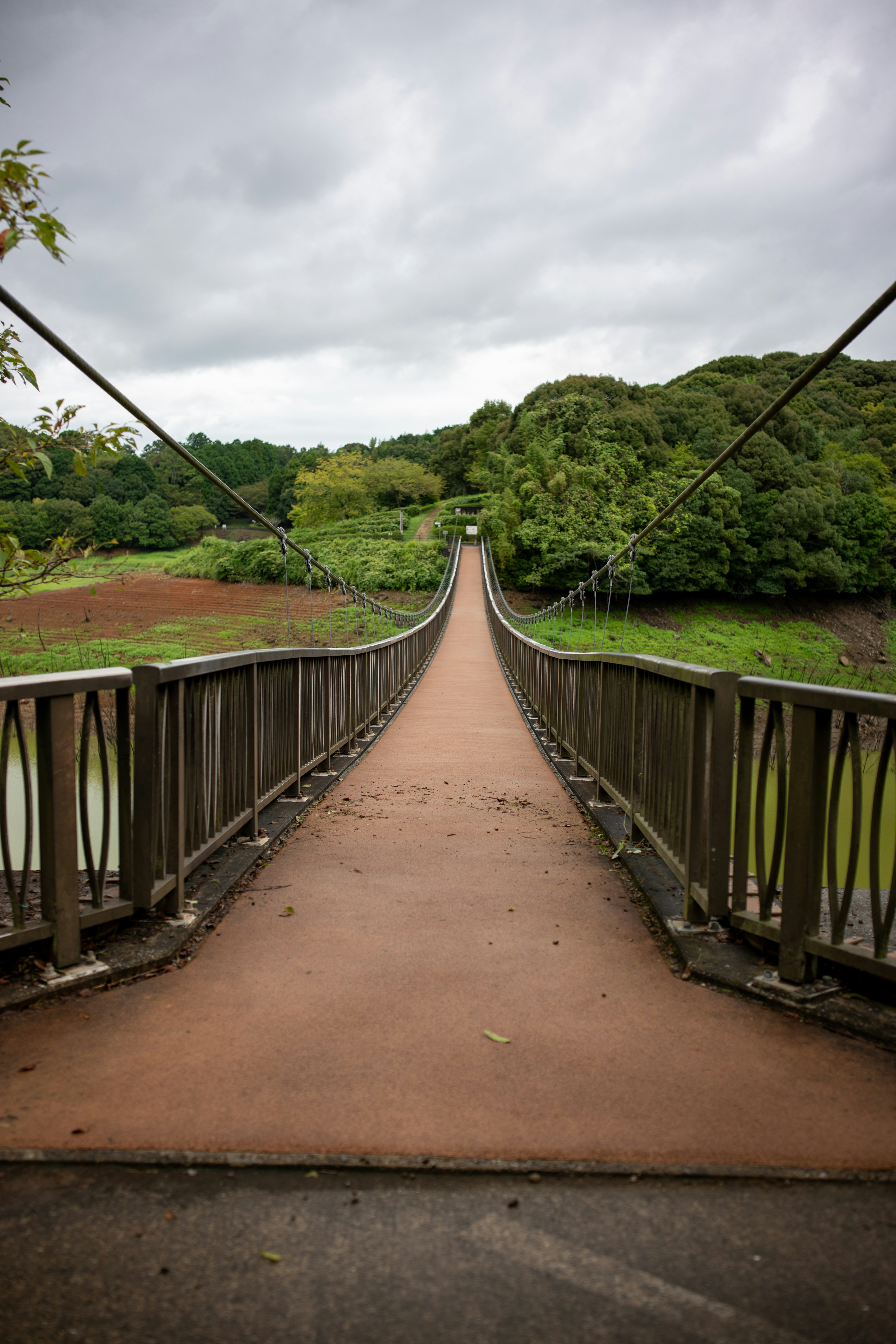 Suspended Lineage: The Long Walk Across a Quiet River Gorge