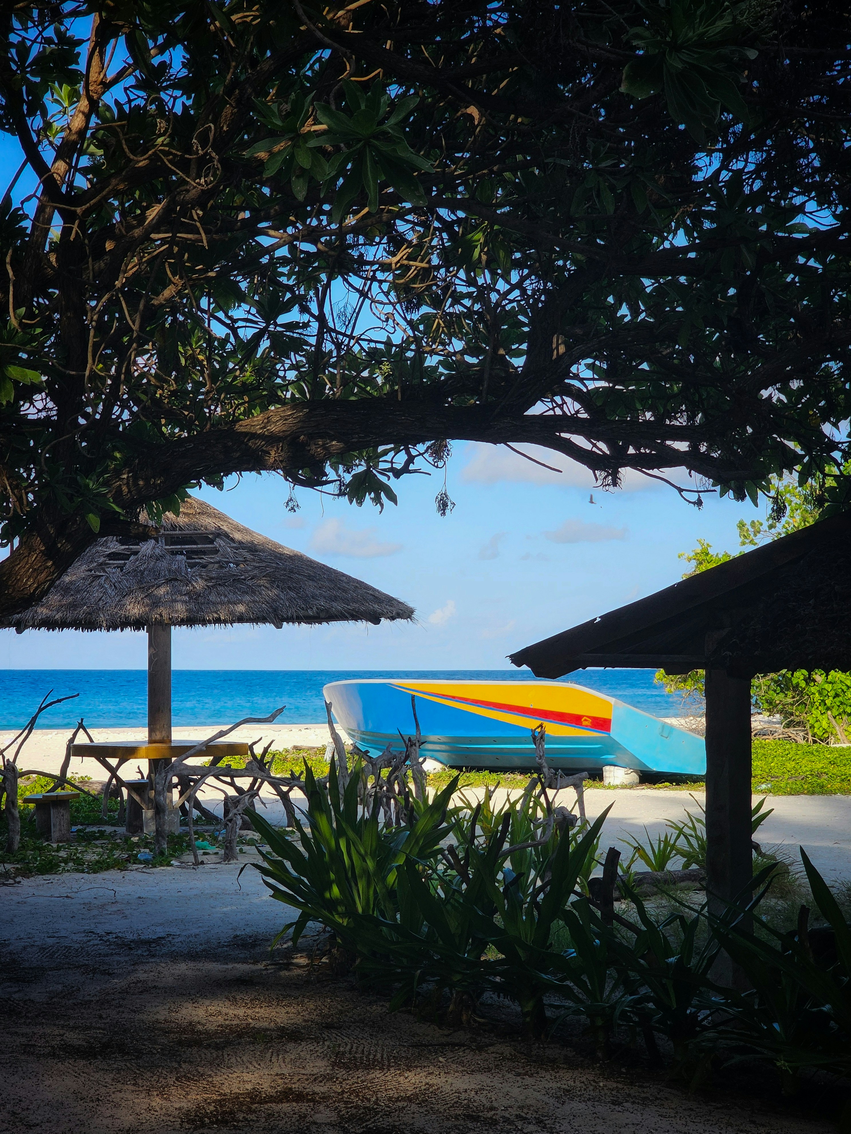 Beach Boat Under a Canopy: A Quiet Seafront Getaway