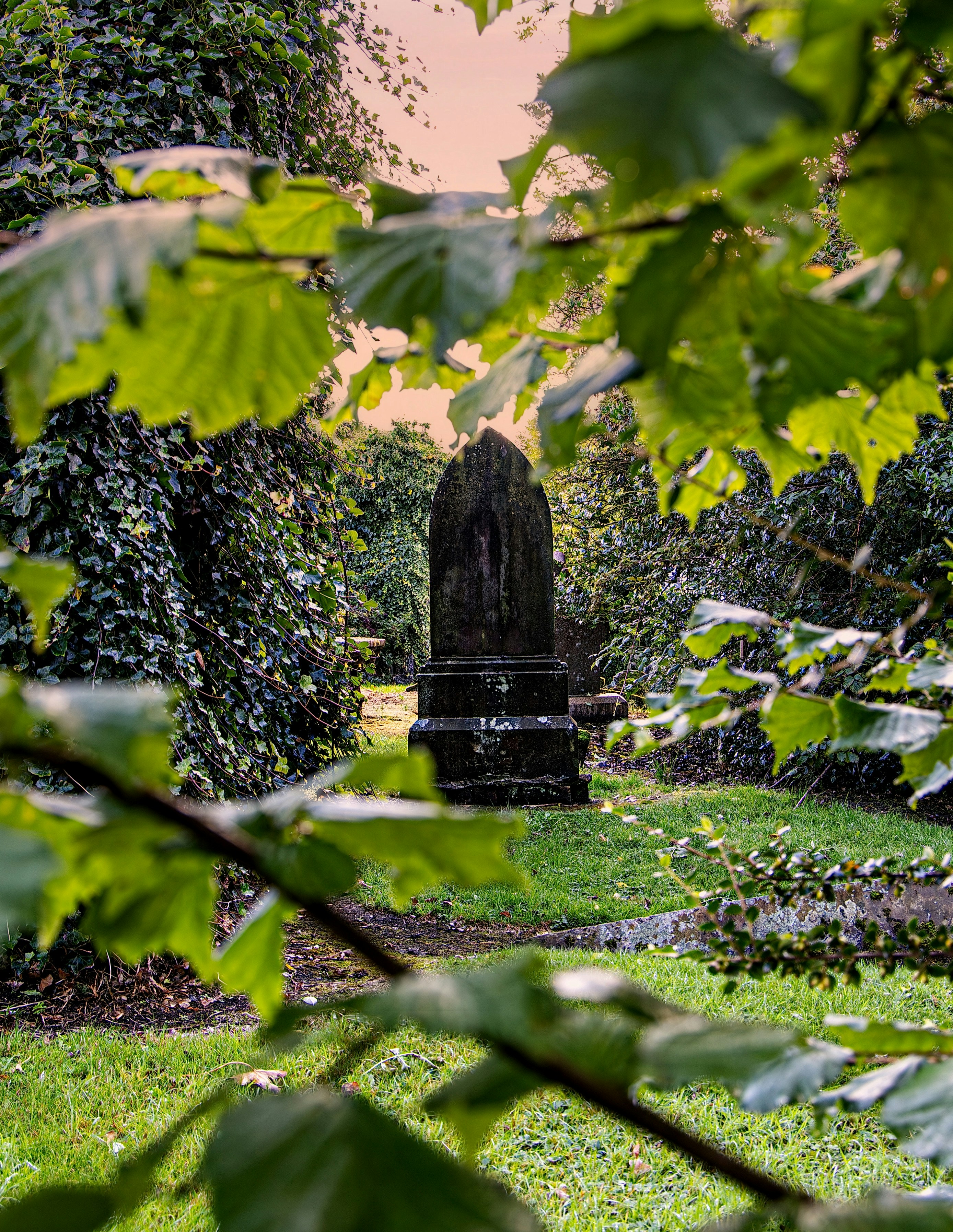 Overgrown Obelisk Veiled by Green Canopy