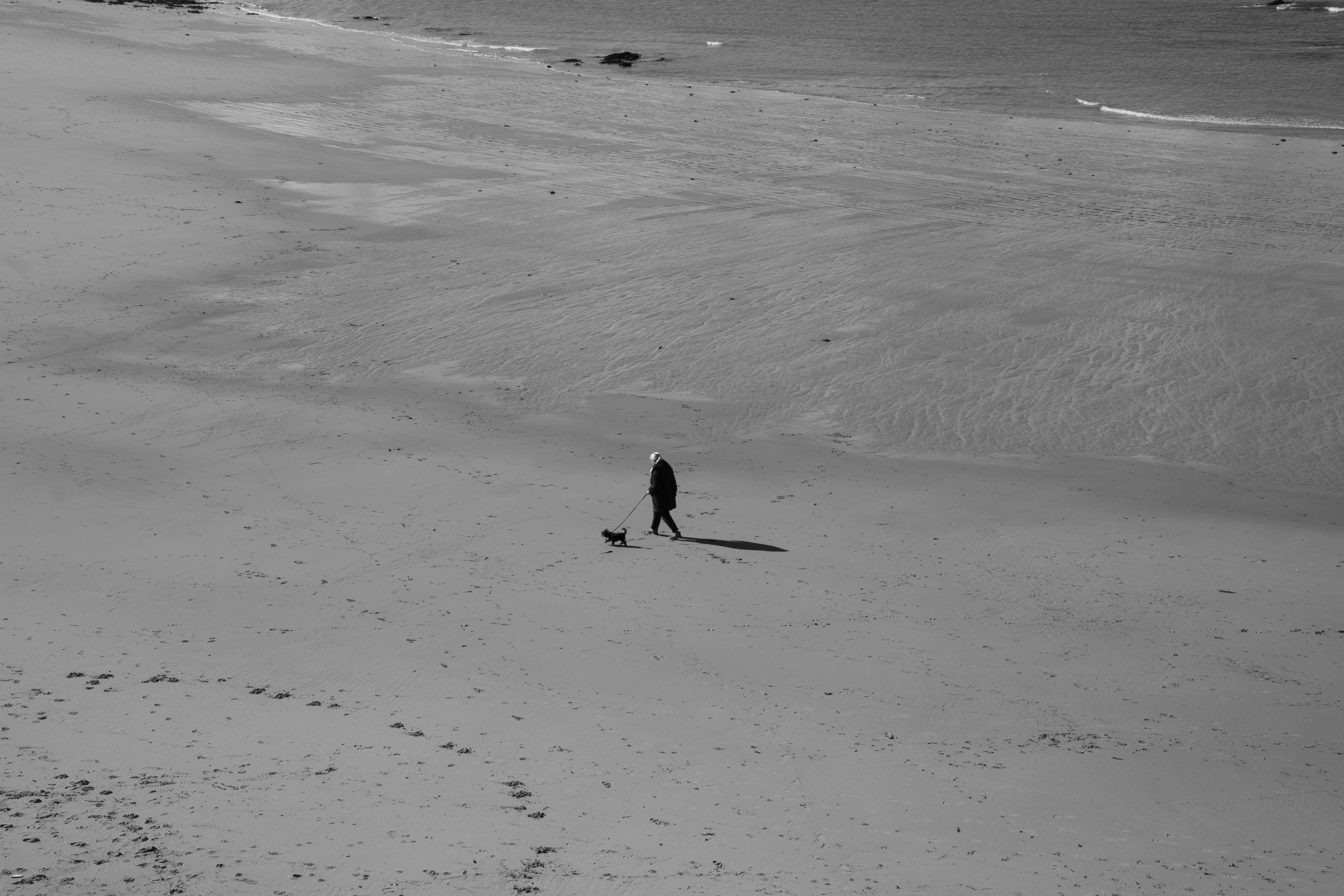 Solitary Walker and Dog on Expansive Dune Shore