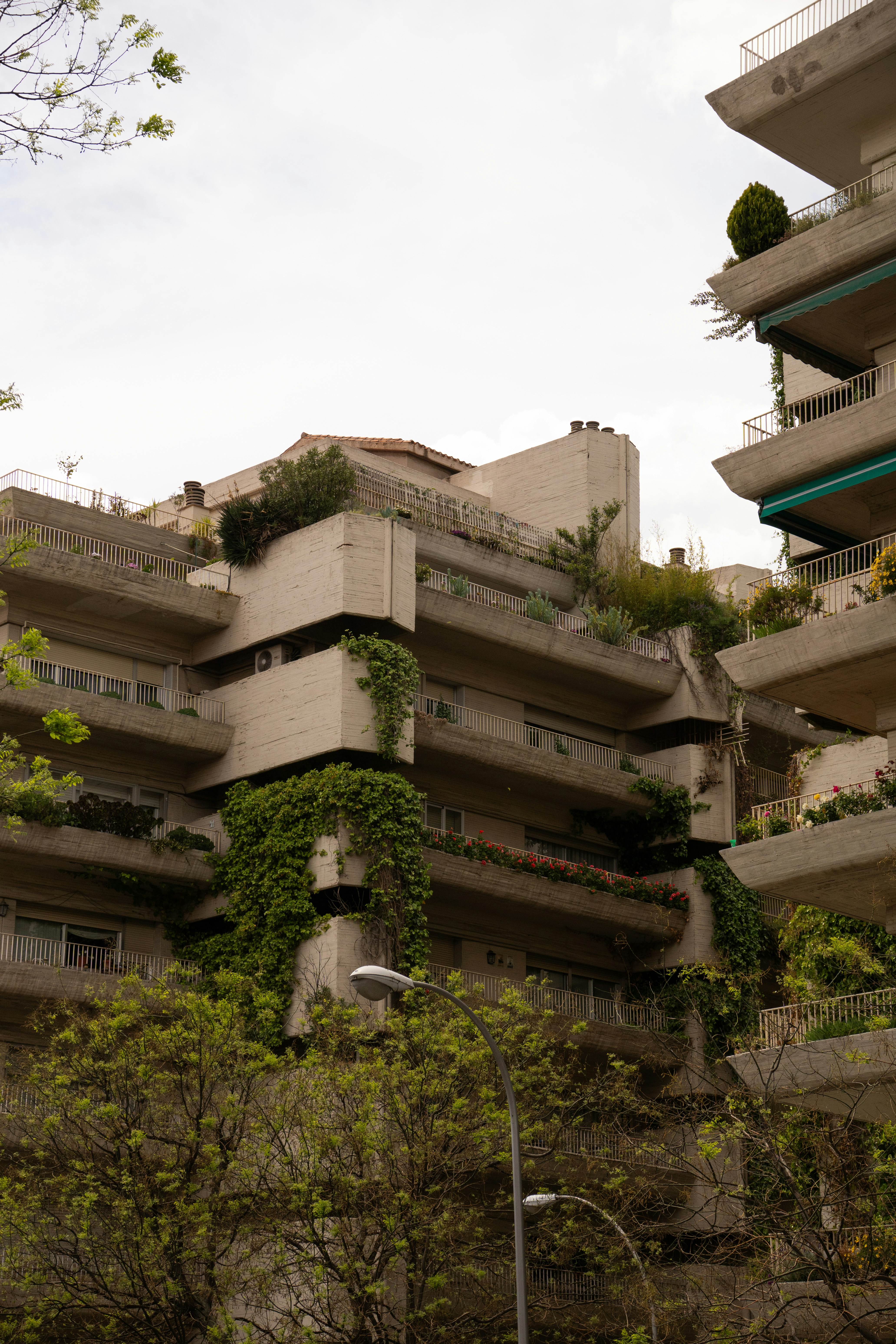 Concrete Oasis: Verdant Balconies Clinging to a Brutalist Facade