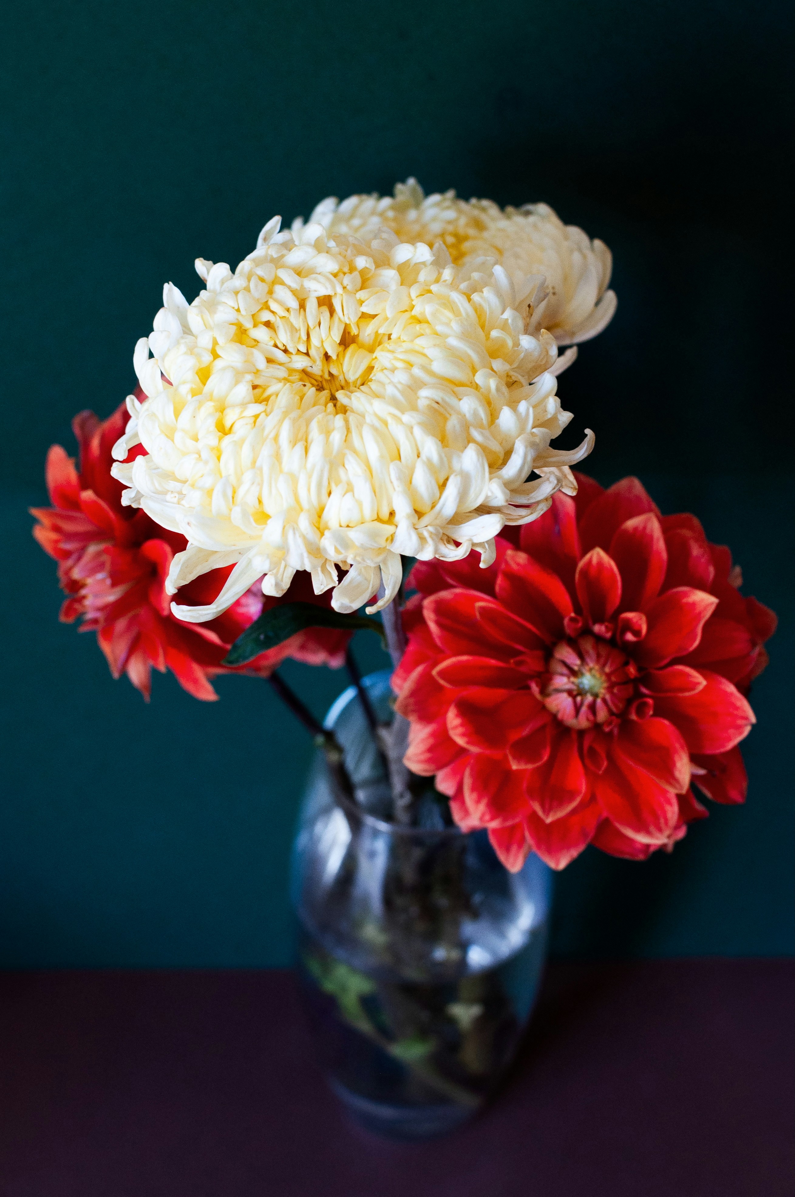 Creamy Chrysanthemum Crown in a Glass Vase
