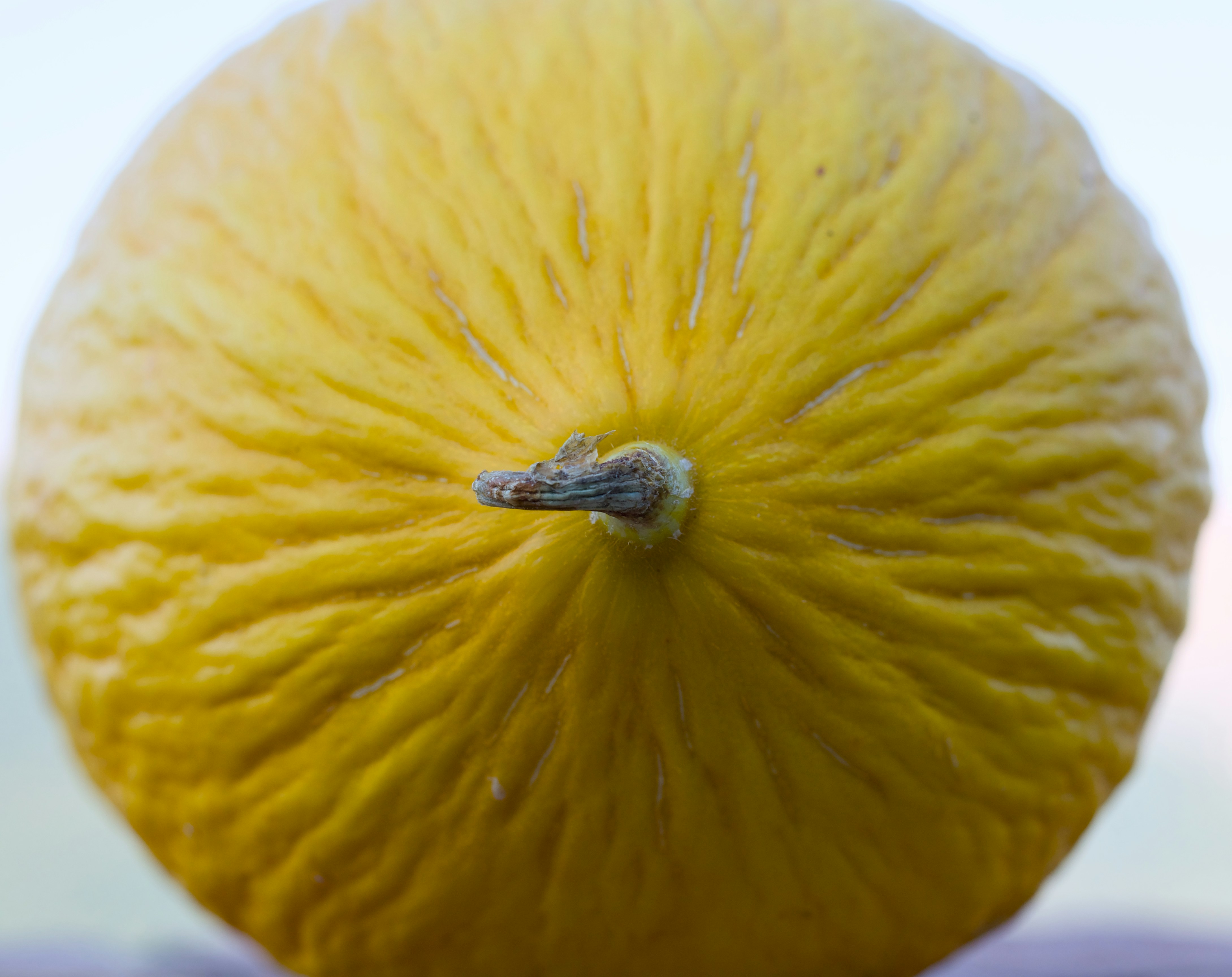 Zesty Citrus Macro: The Lemon's Textured Core