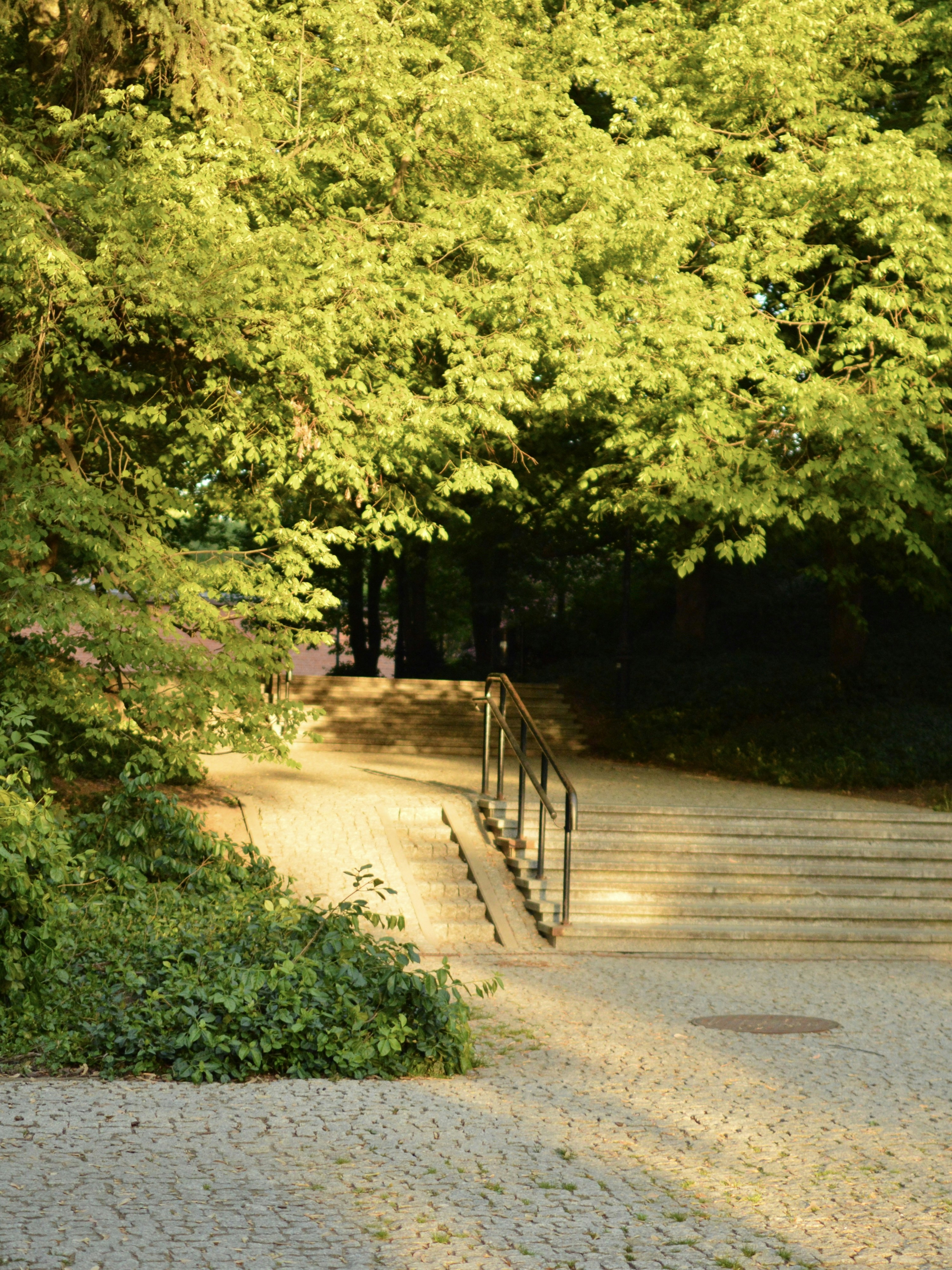 Sunlit Pathway with Gentle Steps into the Green Corridor