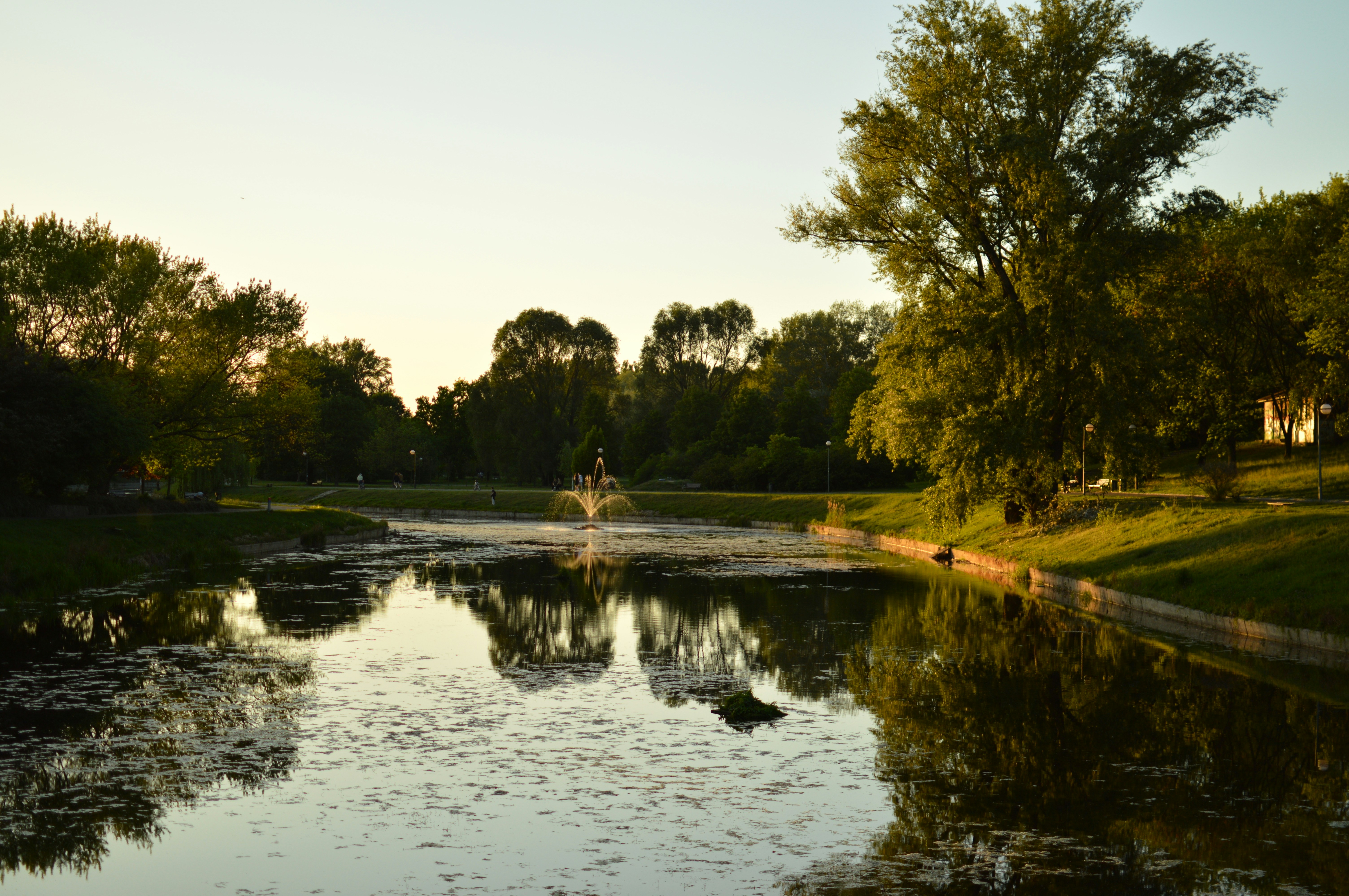 Dawn over the Quiet Pond: Trees, Ripples, and a Subtle Fountain