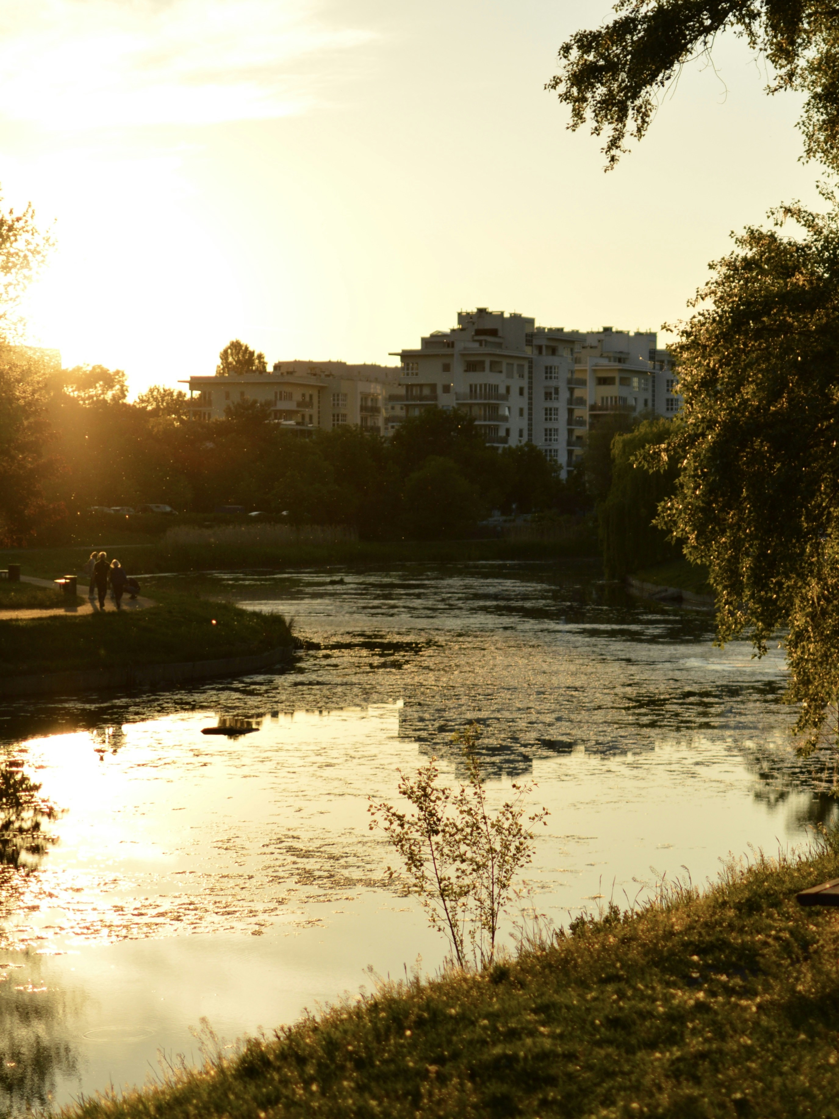 Golden Hour by the River: Buildings, Trees, and a Quiet Bend