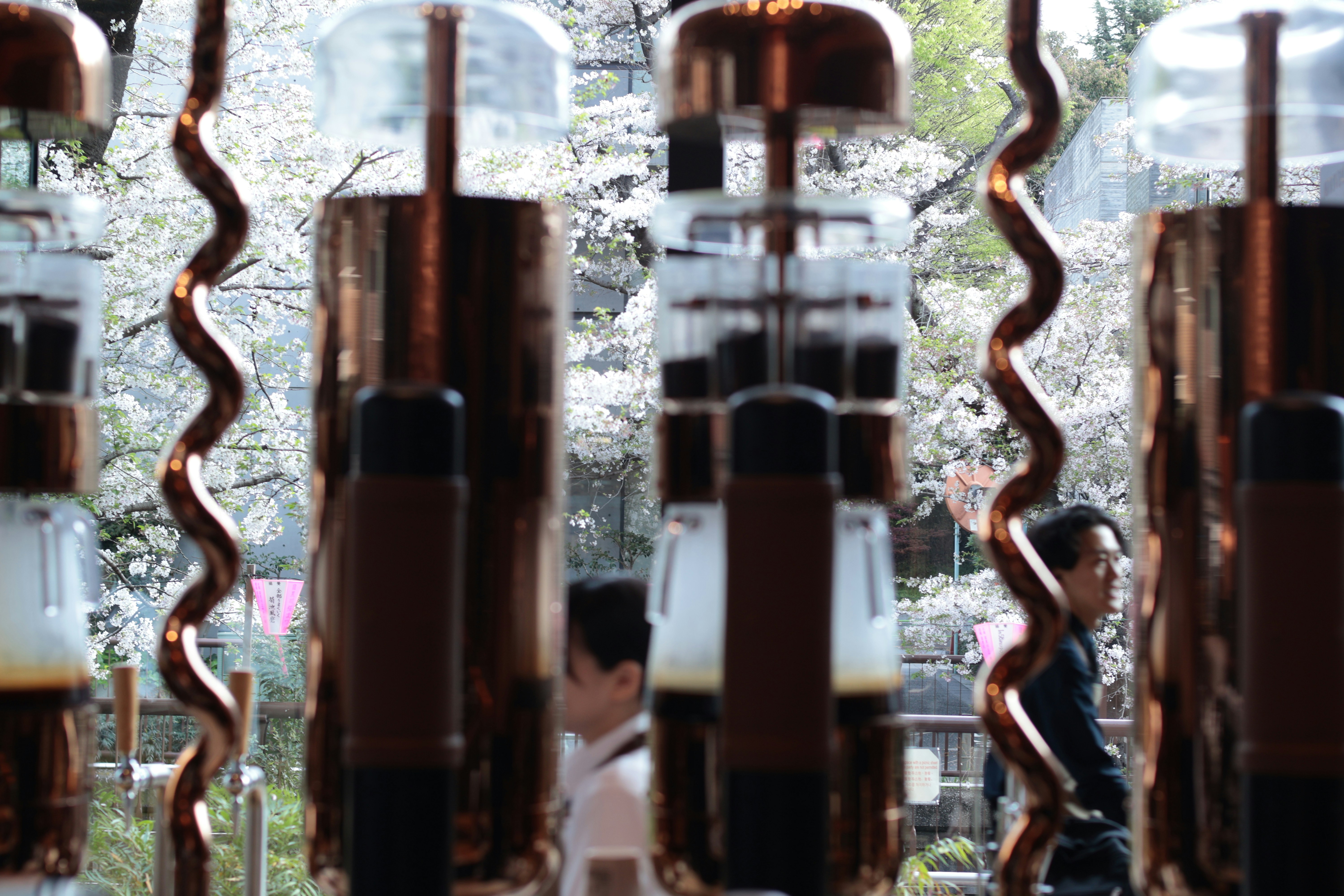 Between Cylinders: A Quiet Moment in the Outdoor Lab