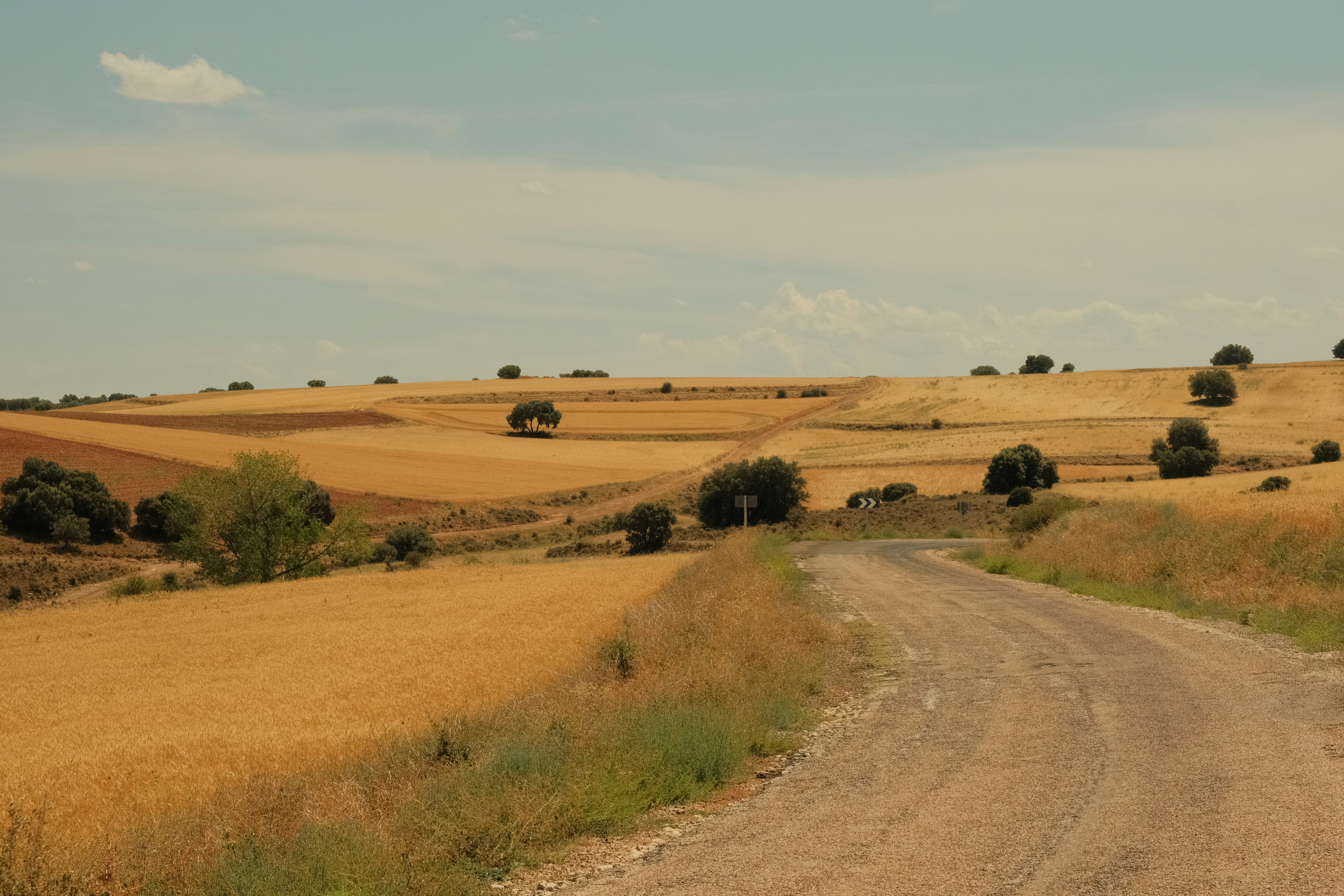 Dusty Rural Road Winding Through Golden Fields