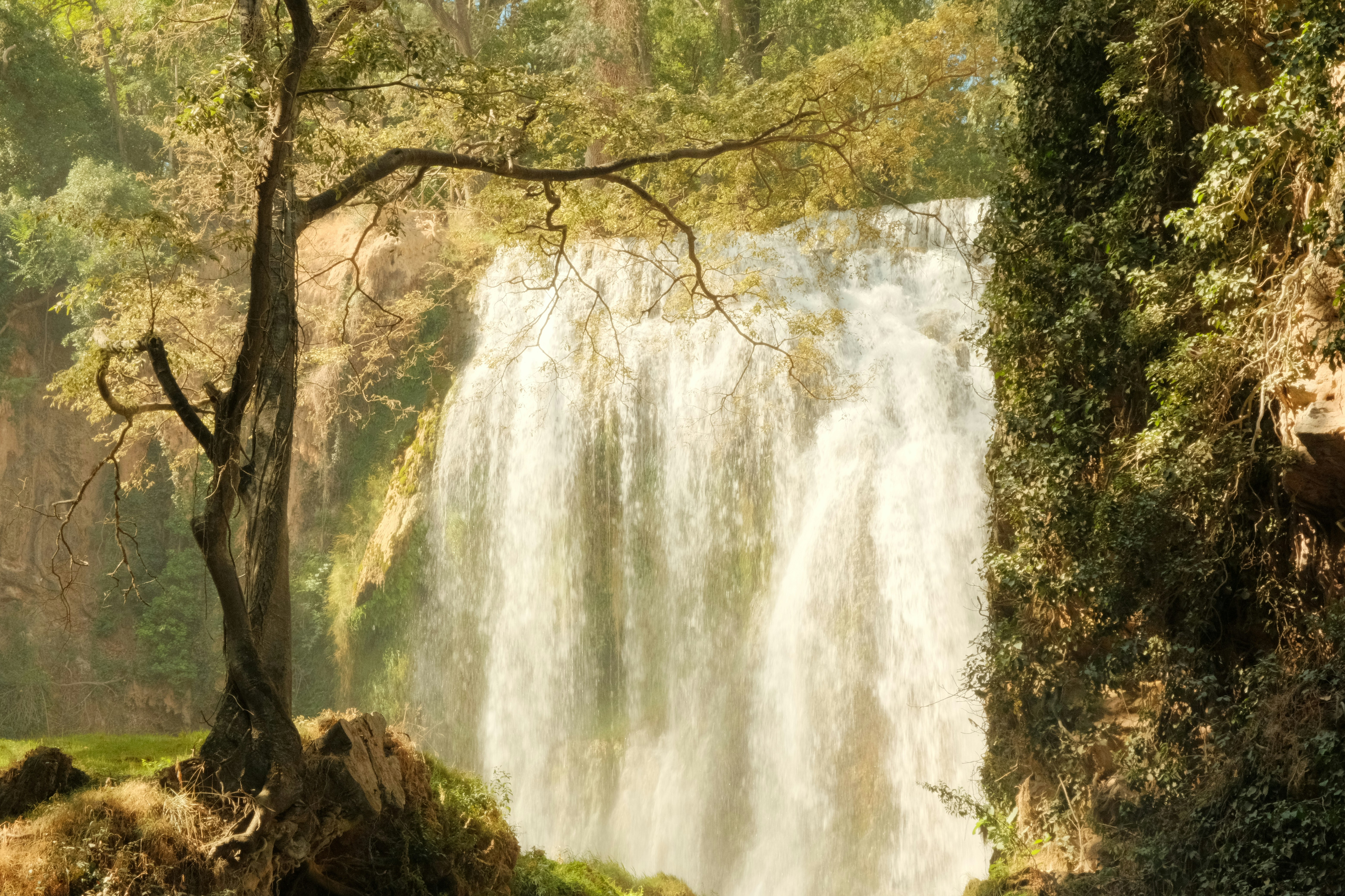 Whispering Cascade Beyond the Quiet Pines