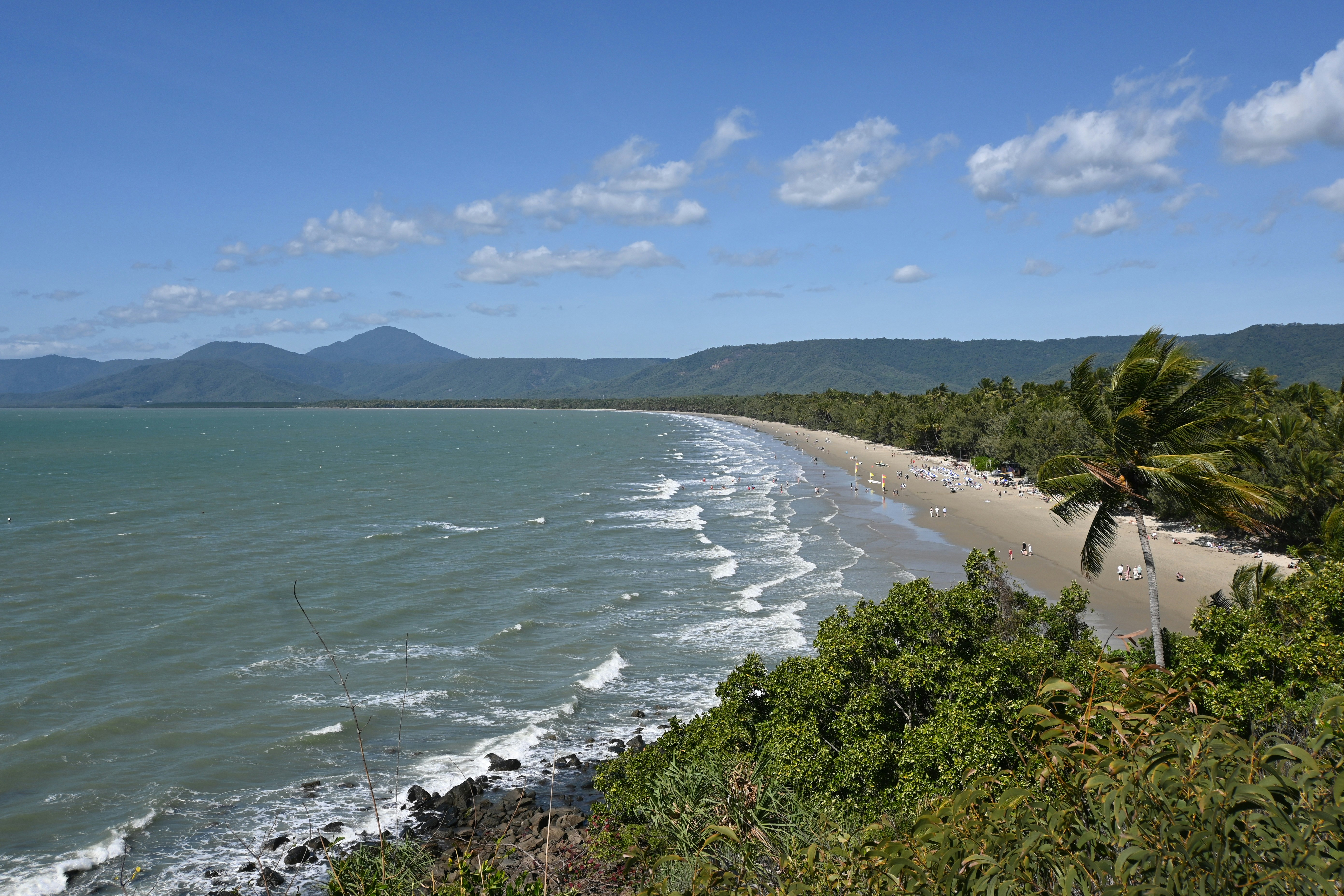 Coastal Curve: A Palms-and-Surf Shoreline in Sunlit Calm