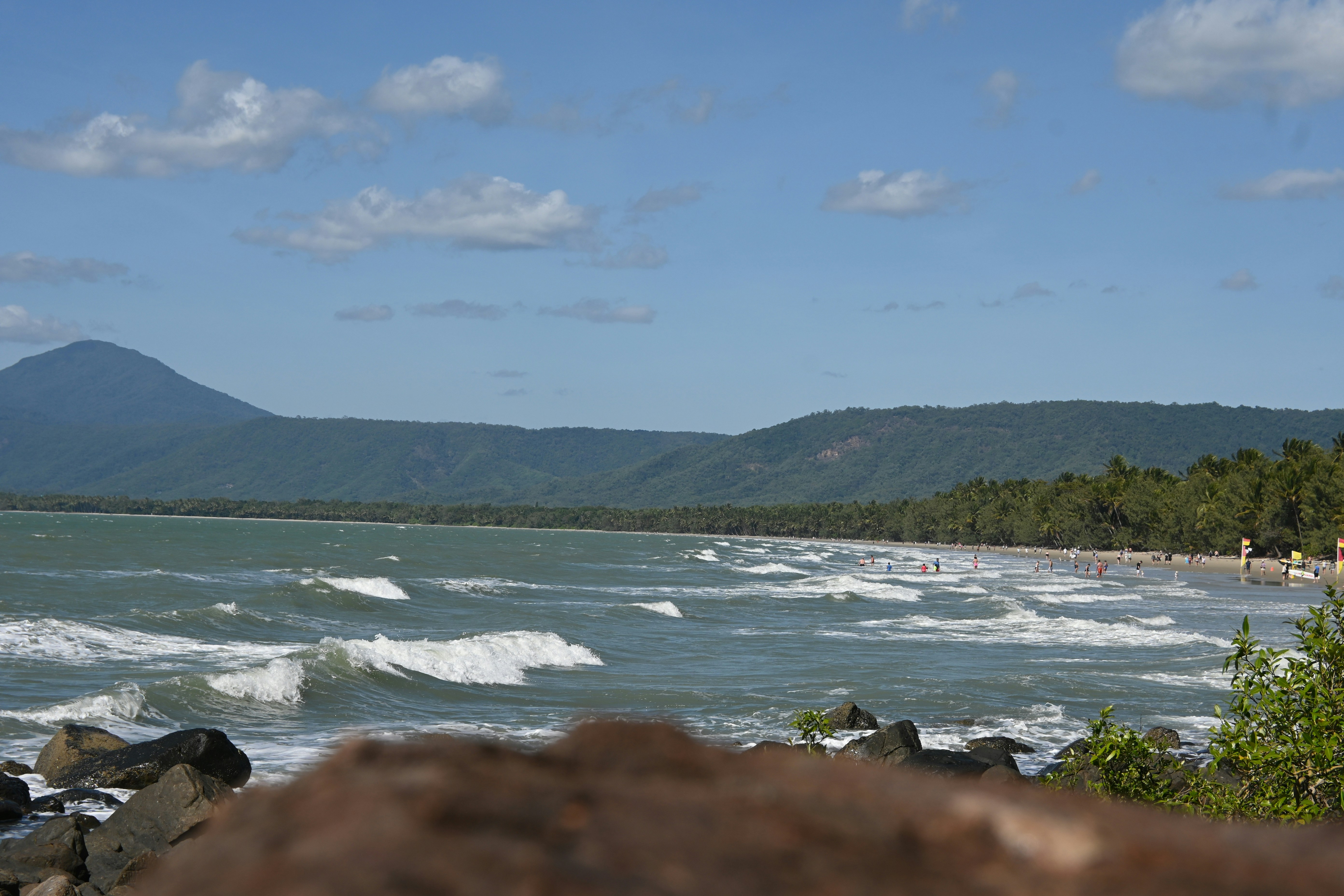 Coastal Crest: Waves Rolling Toward the Pine-Tree Shore