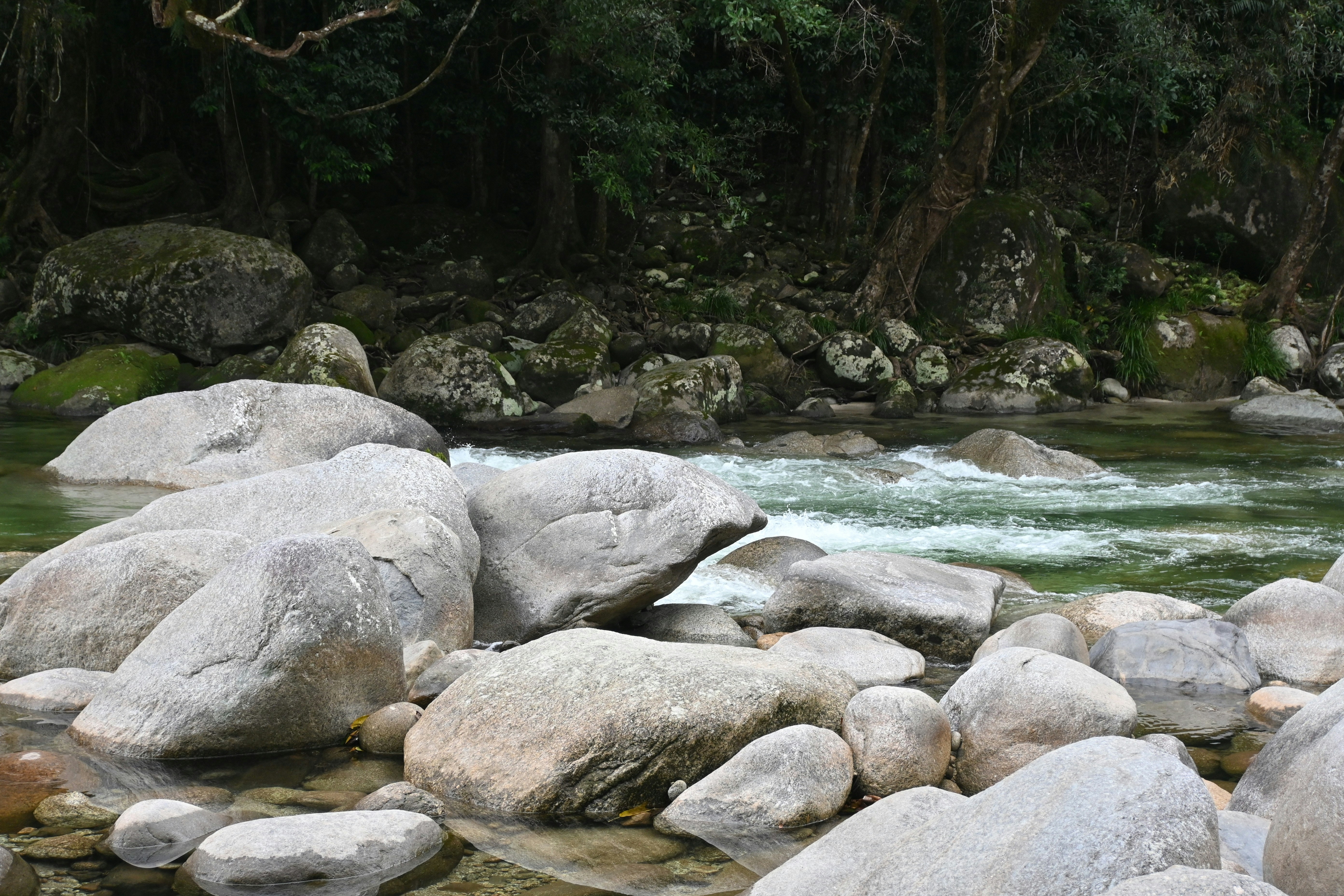 Pebble-filled riverbed with calm water weaving past large gray rocks; mossy forest edge in the background, conveying a serene, natural scene.