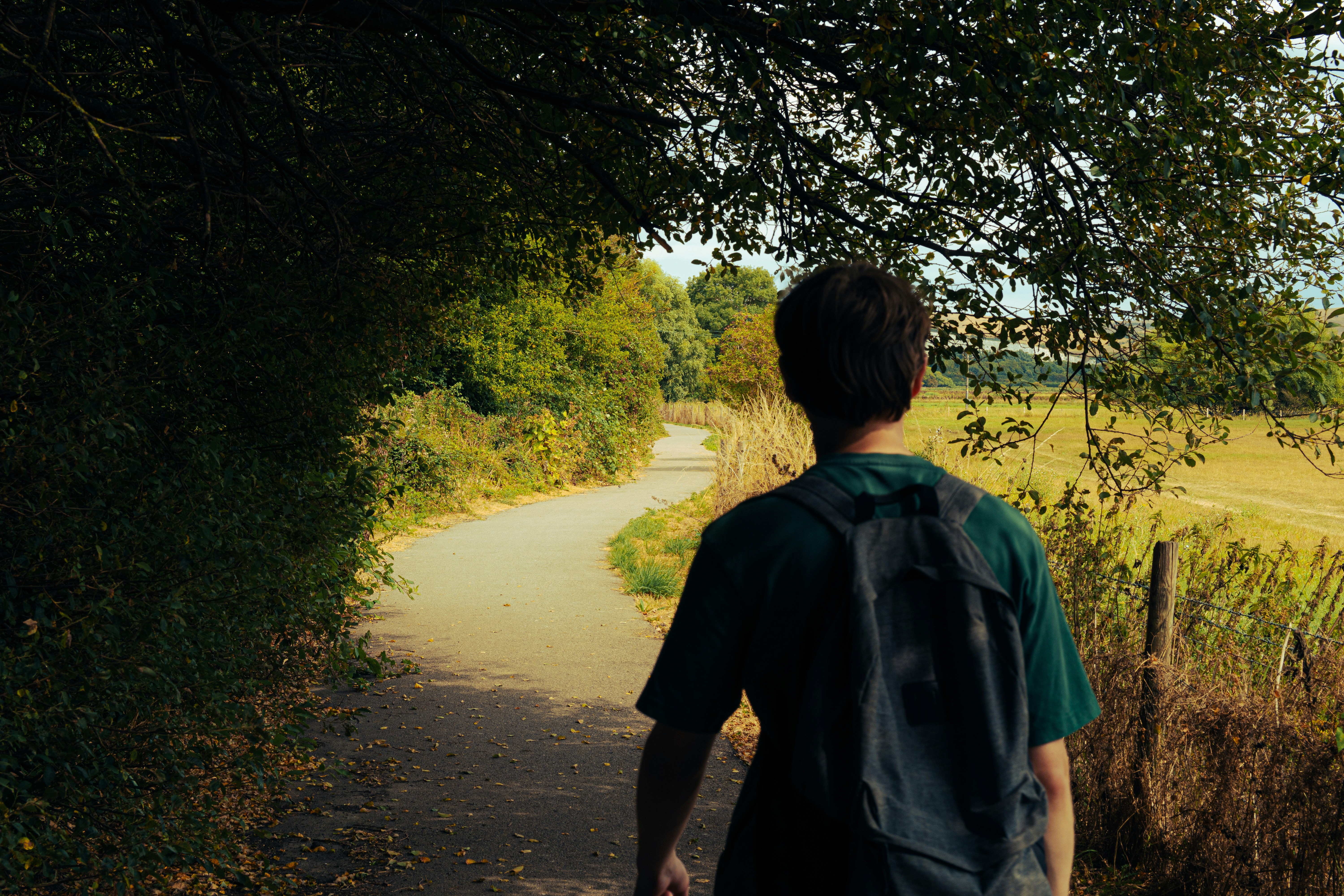 Past the Arching Shade: A Walk Toward the Open Field