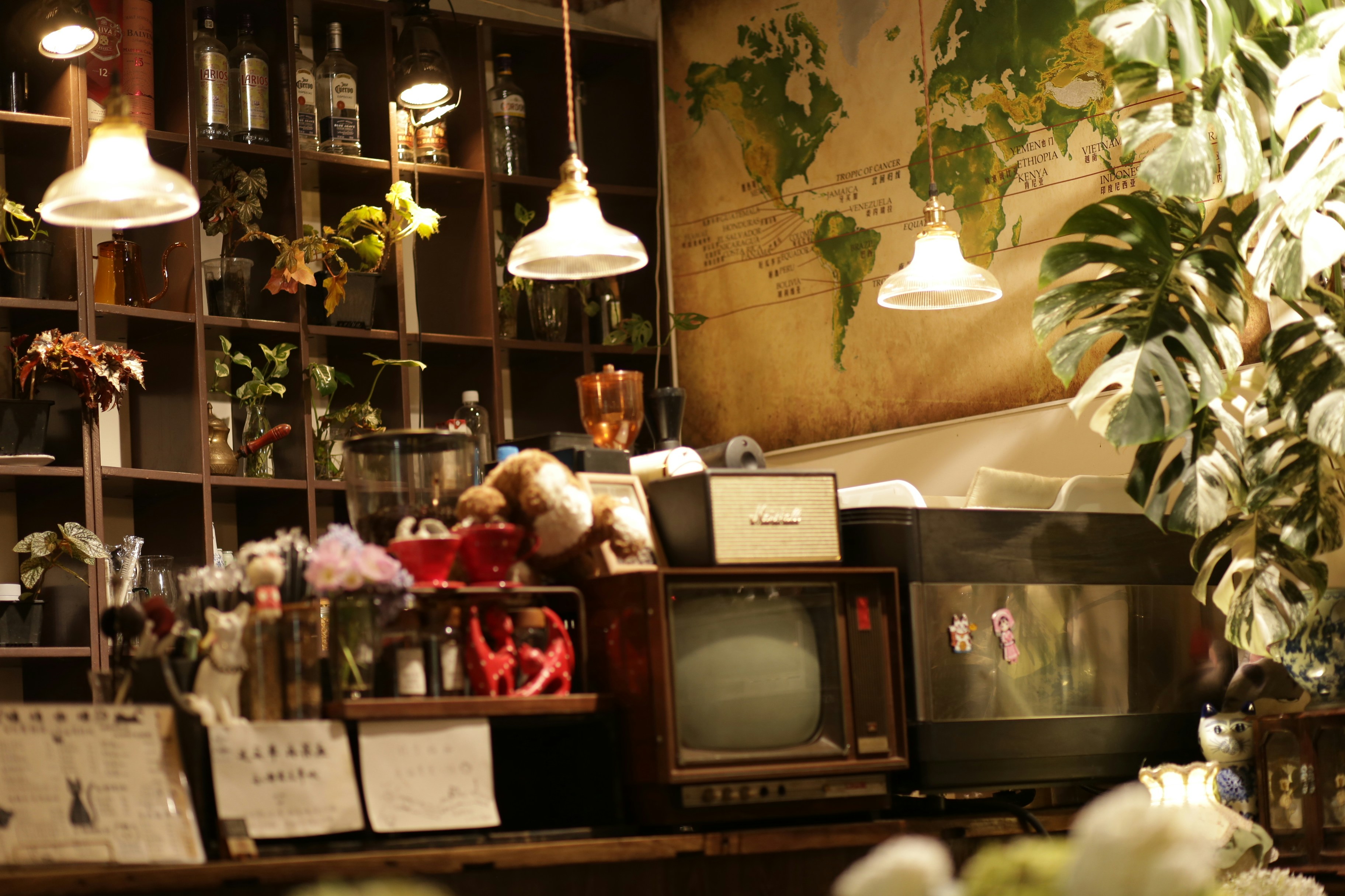 Cozy Confluence: Vintage TV, Plants, and Warm Light in a Nesting Shelf