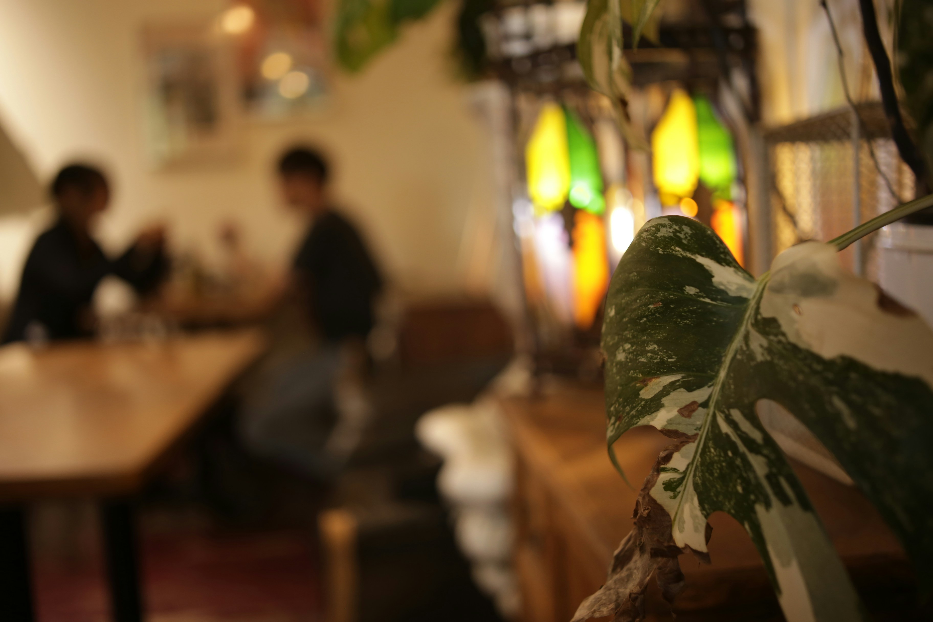 Blurred Café Scene with Foreground Foliage