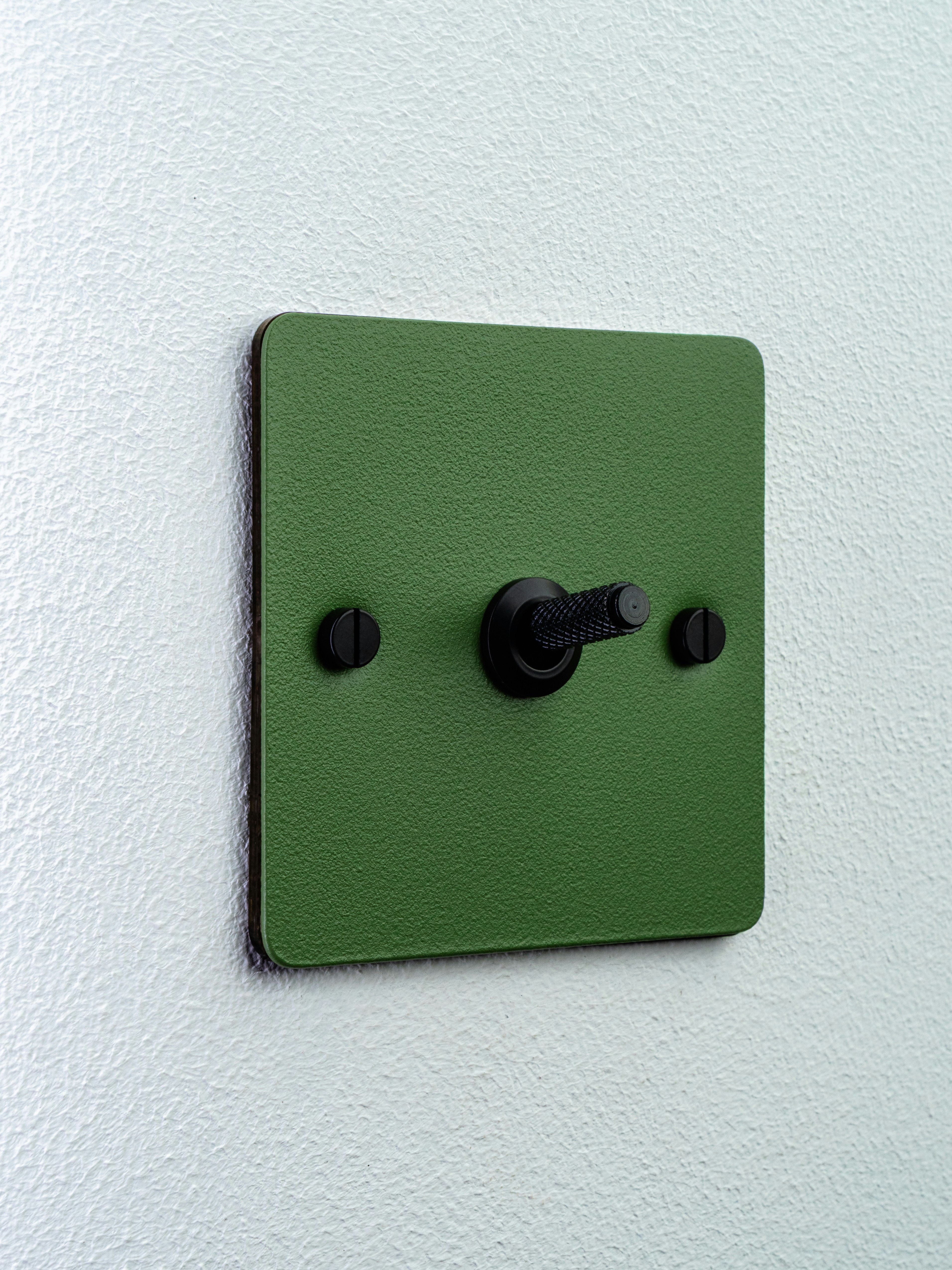 Greened switch plate on pale wall: a study in texture and contrast