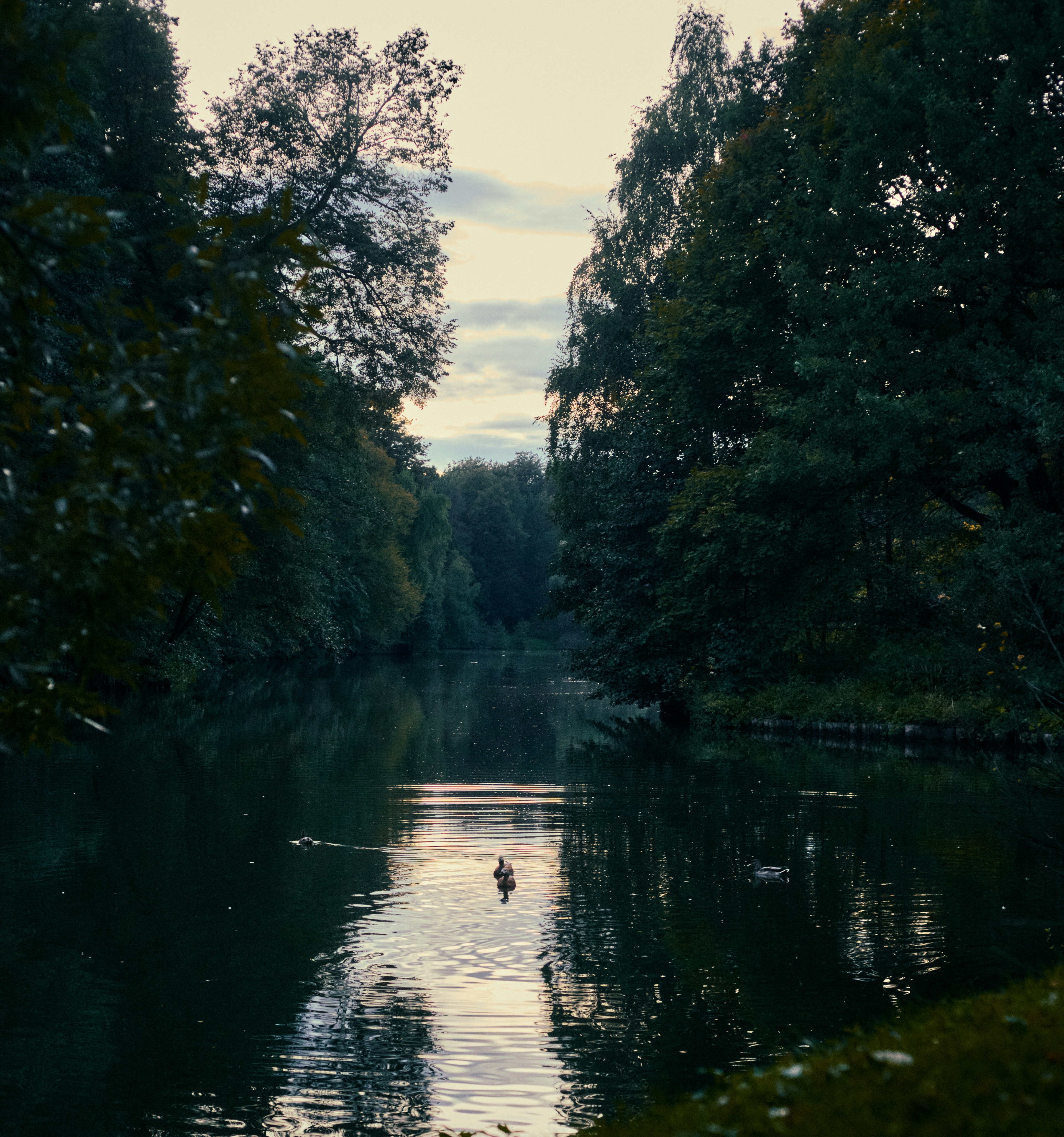 Serene River Reveal: Duck Island in a Velvet Evening