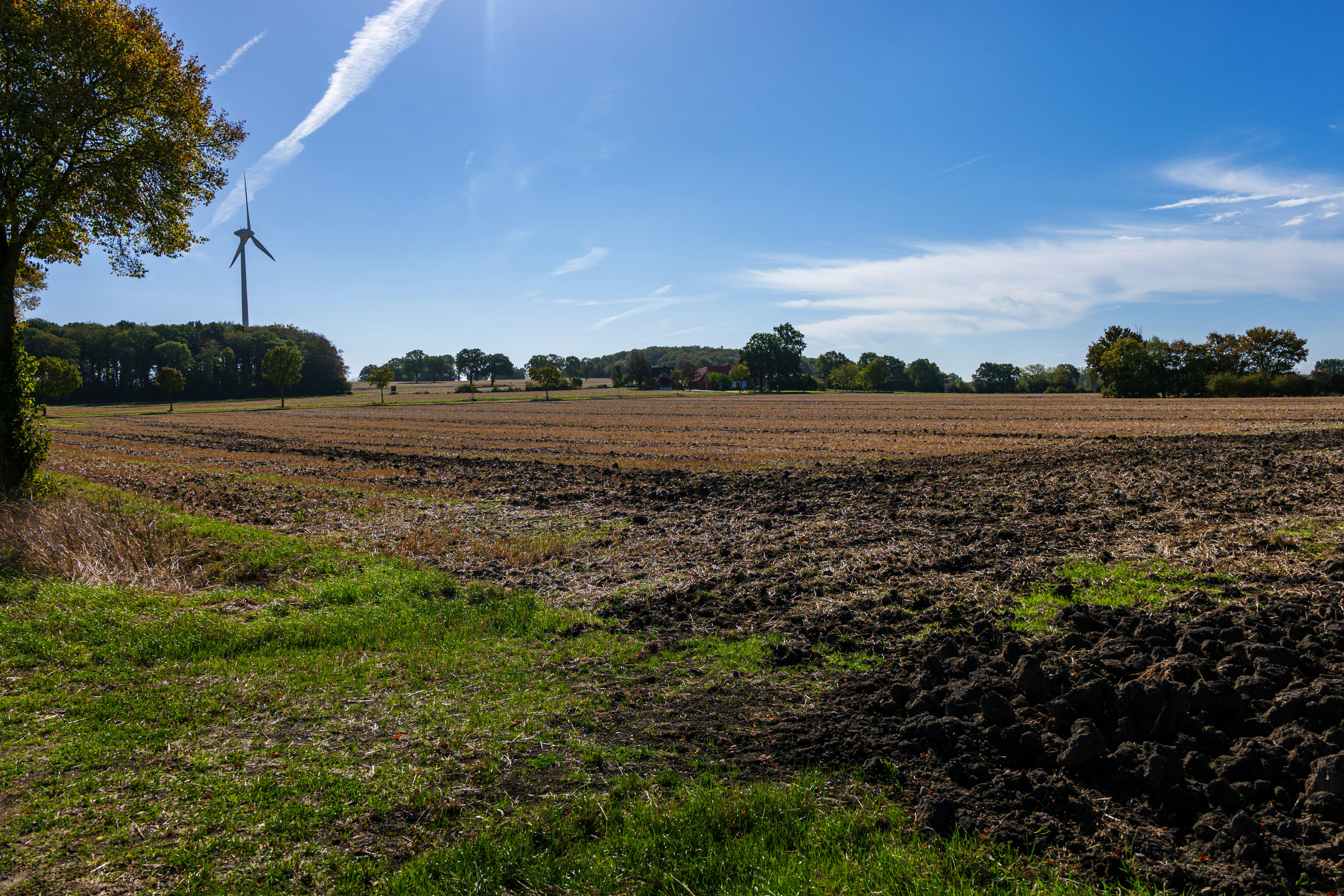 Windmill on the Horizon: Quiet Farmland under a Clear Sky