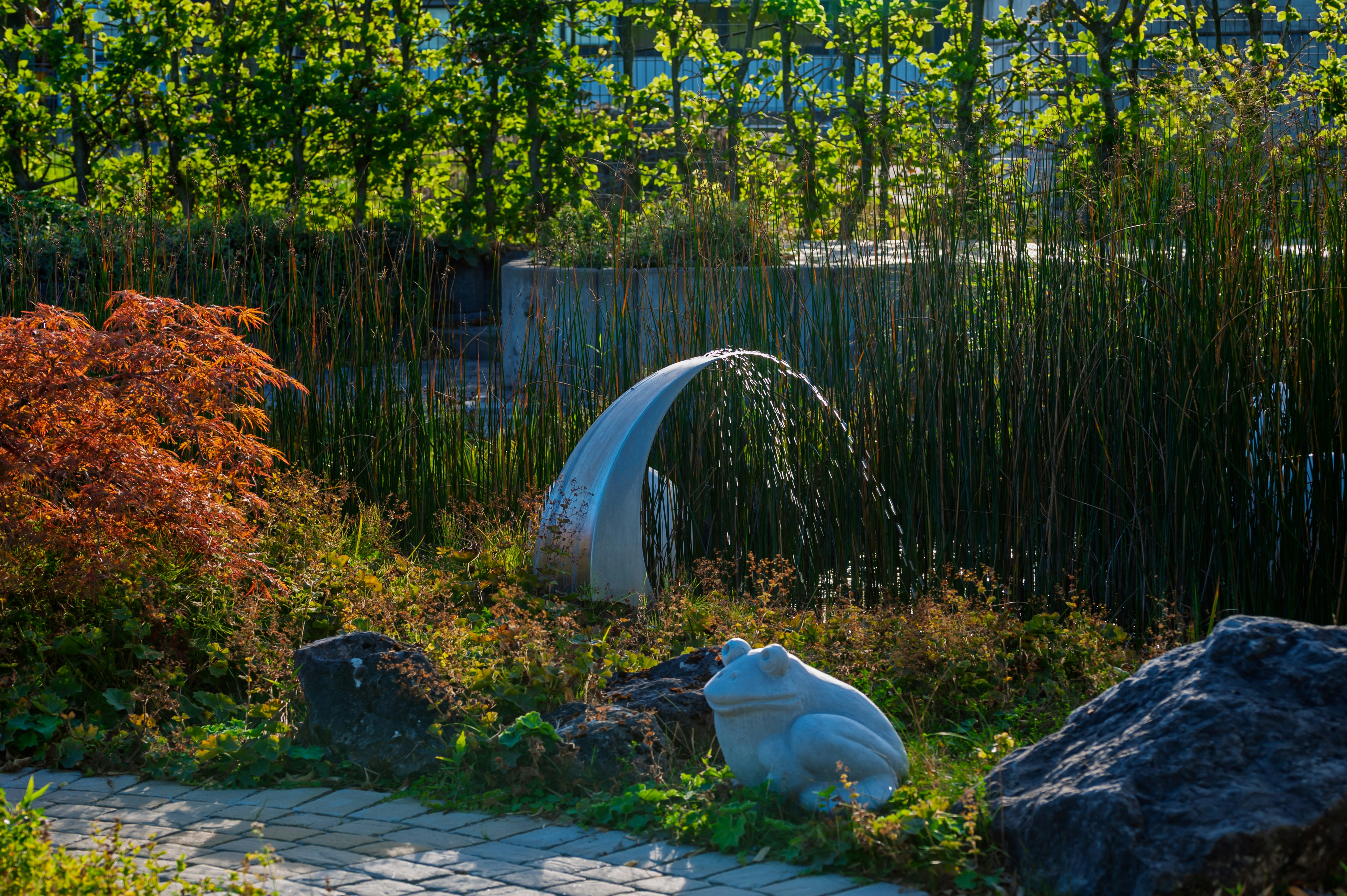 Autumn Harvest: A Quiet Garden Scene with Sculptures and Water Arc