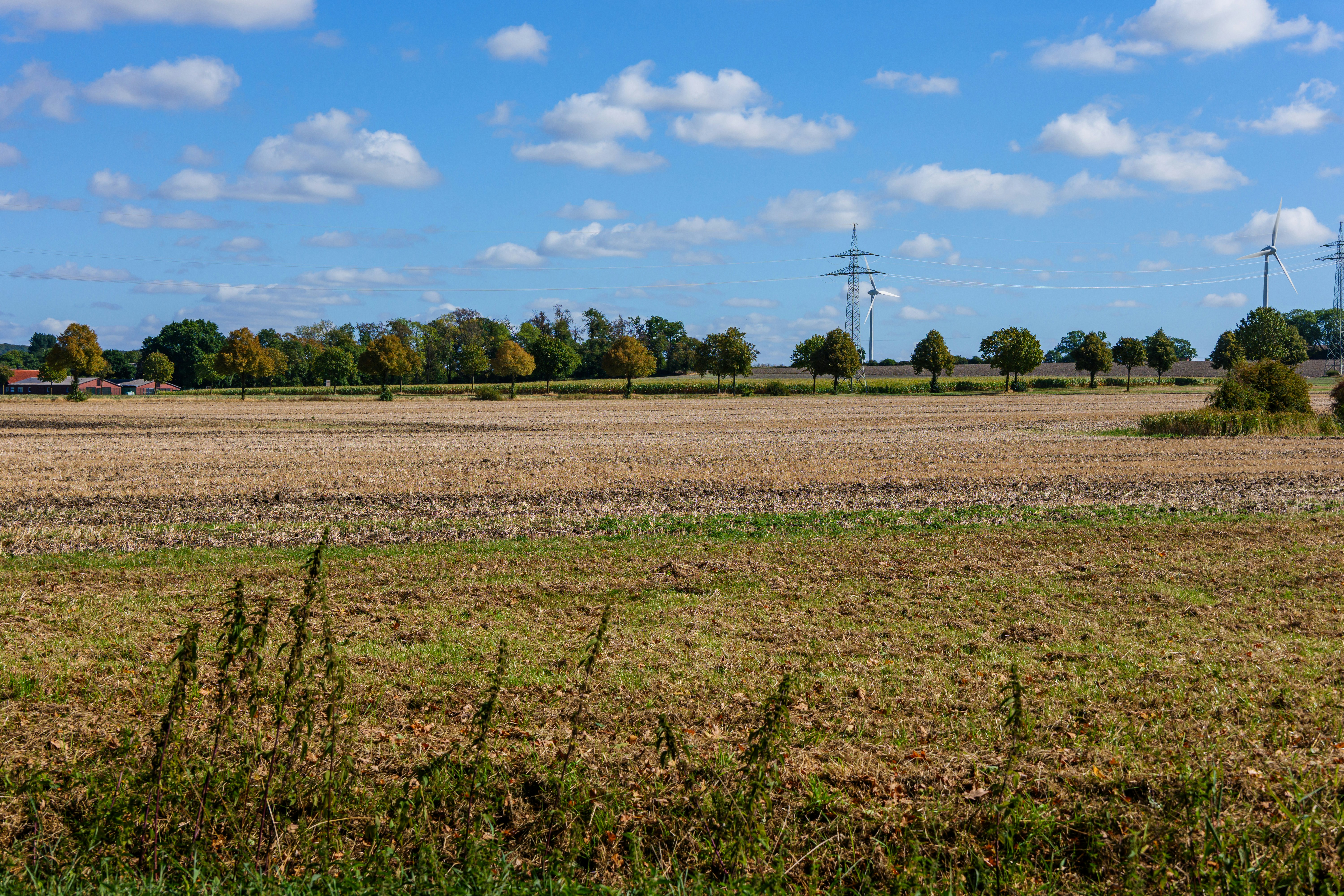 Quiet Farmland Under a Sky of Cotton Clouds