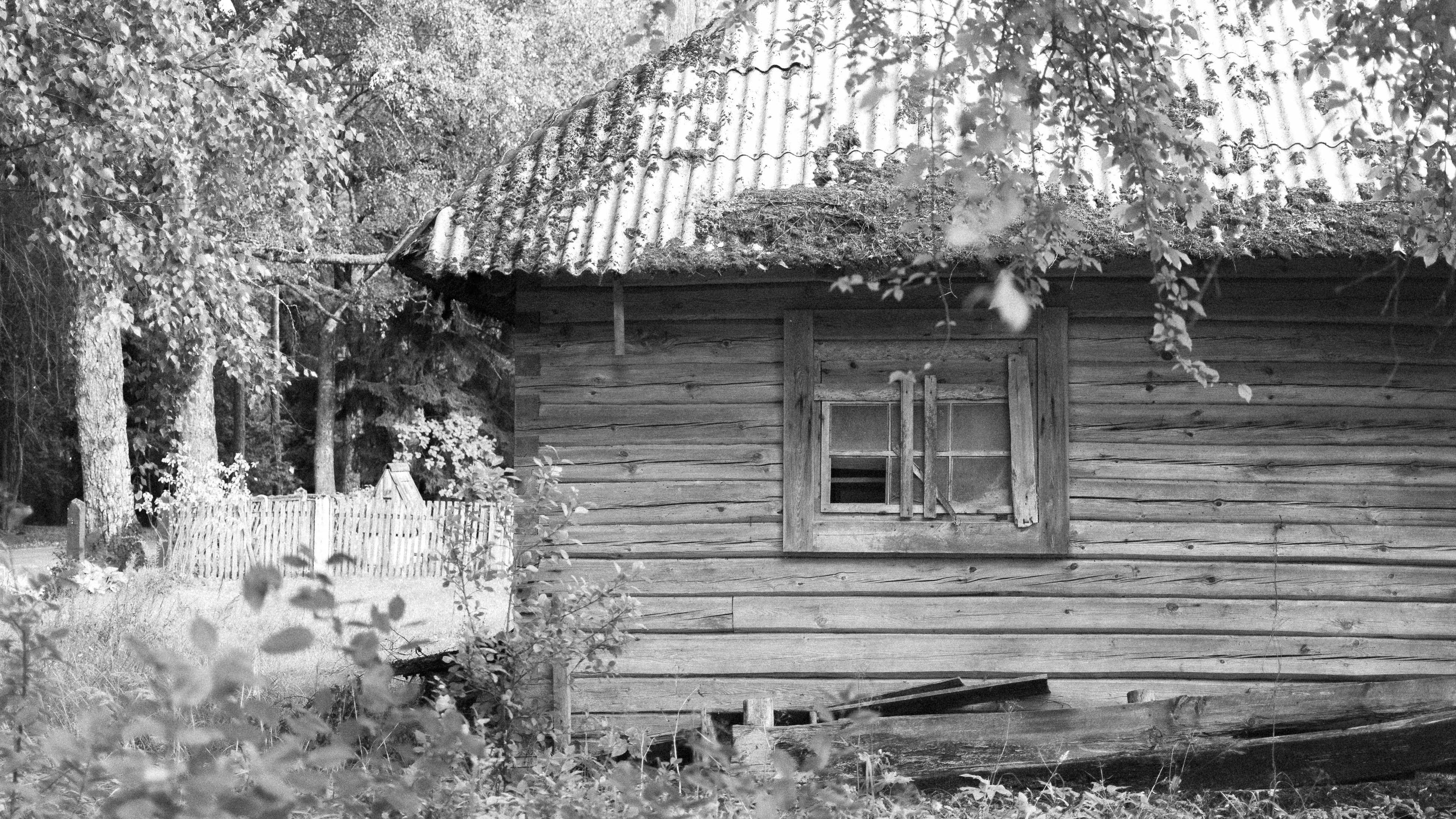 Weathered Cabin Echoes: Framing a Quiet Past