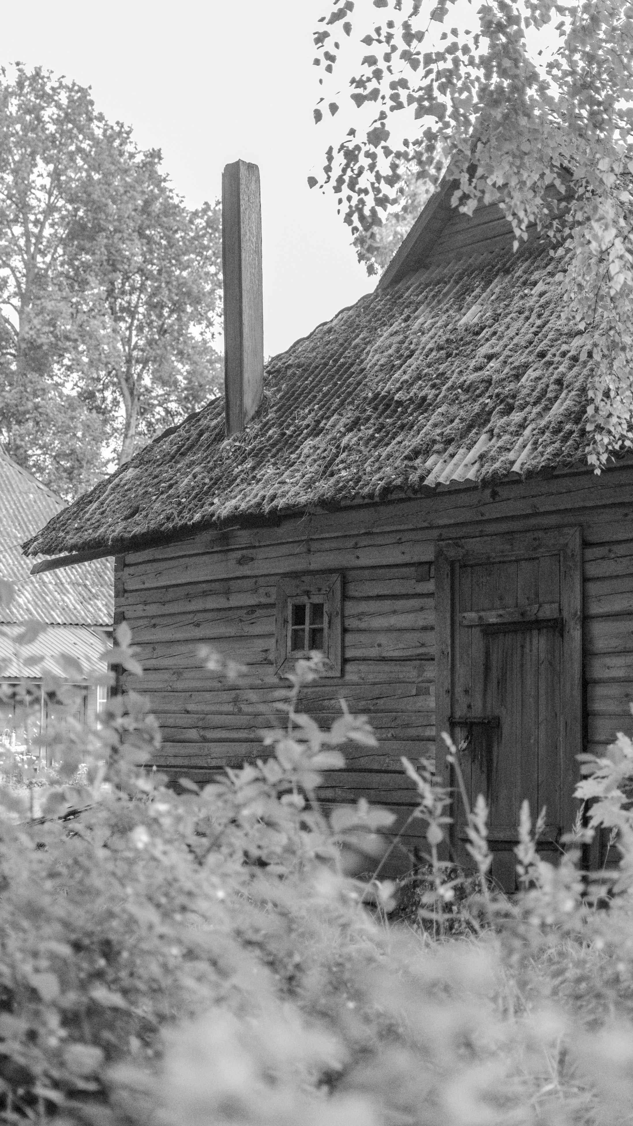 Weathered Cottage in Quiet Overgrowth