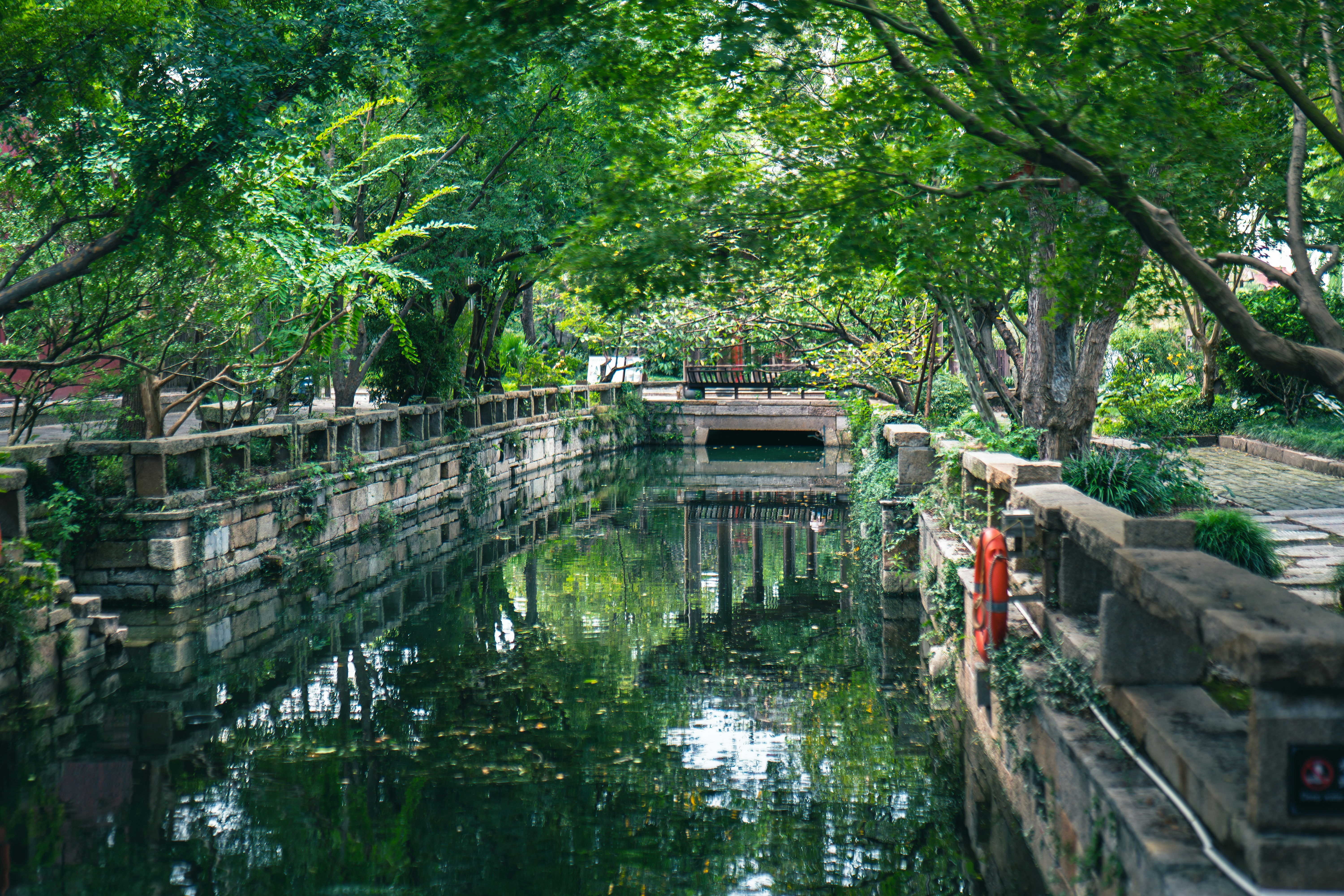 Hidden Canal in a Green Corridor